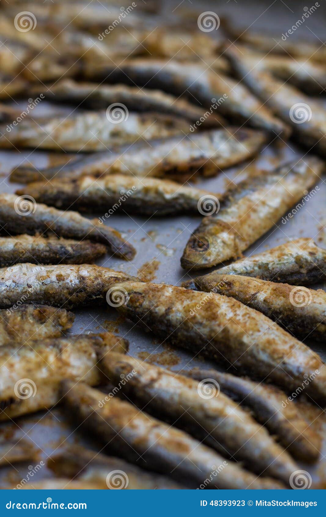 Fried Small Fish stock image. Image of ready, seafood - 48393923
