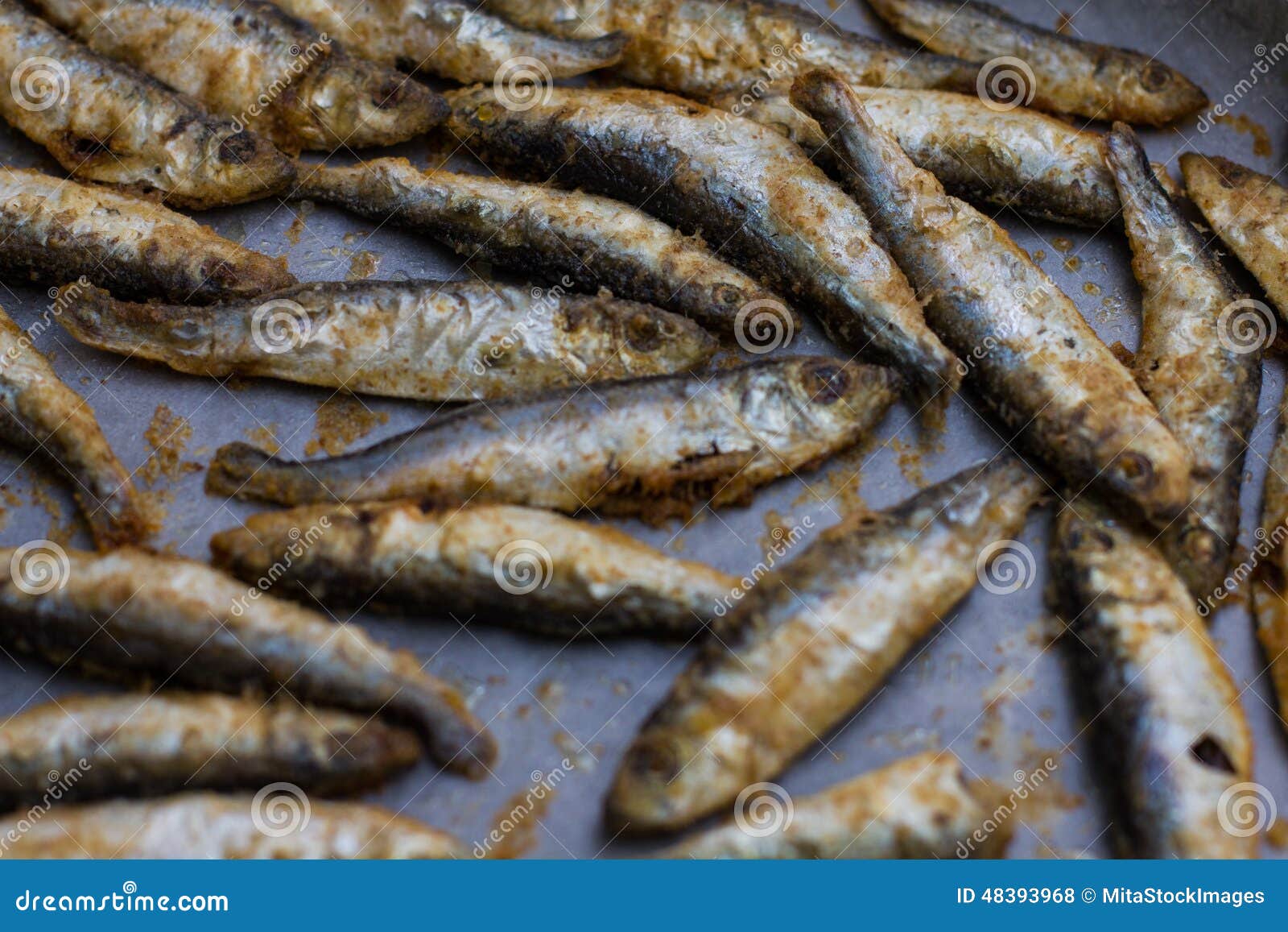 Fried Small Fish stock photo. Image of fried, cooking - 48393968