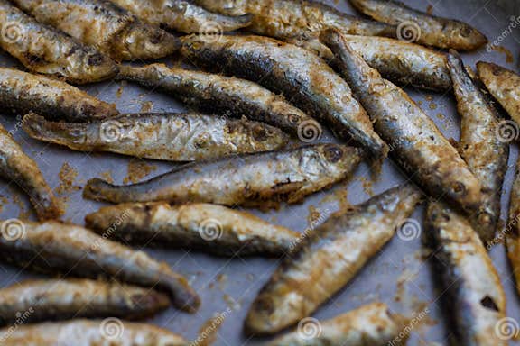 Fried Small Fish stock photo. Image of fried, cooking - 48393968