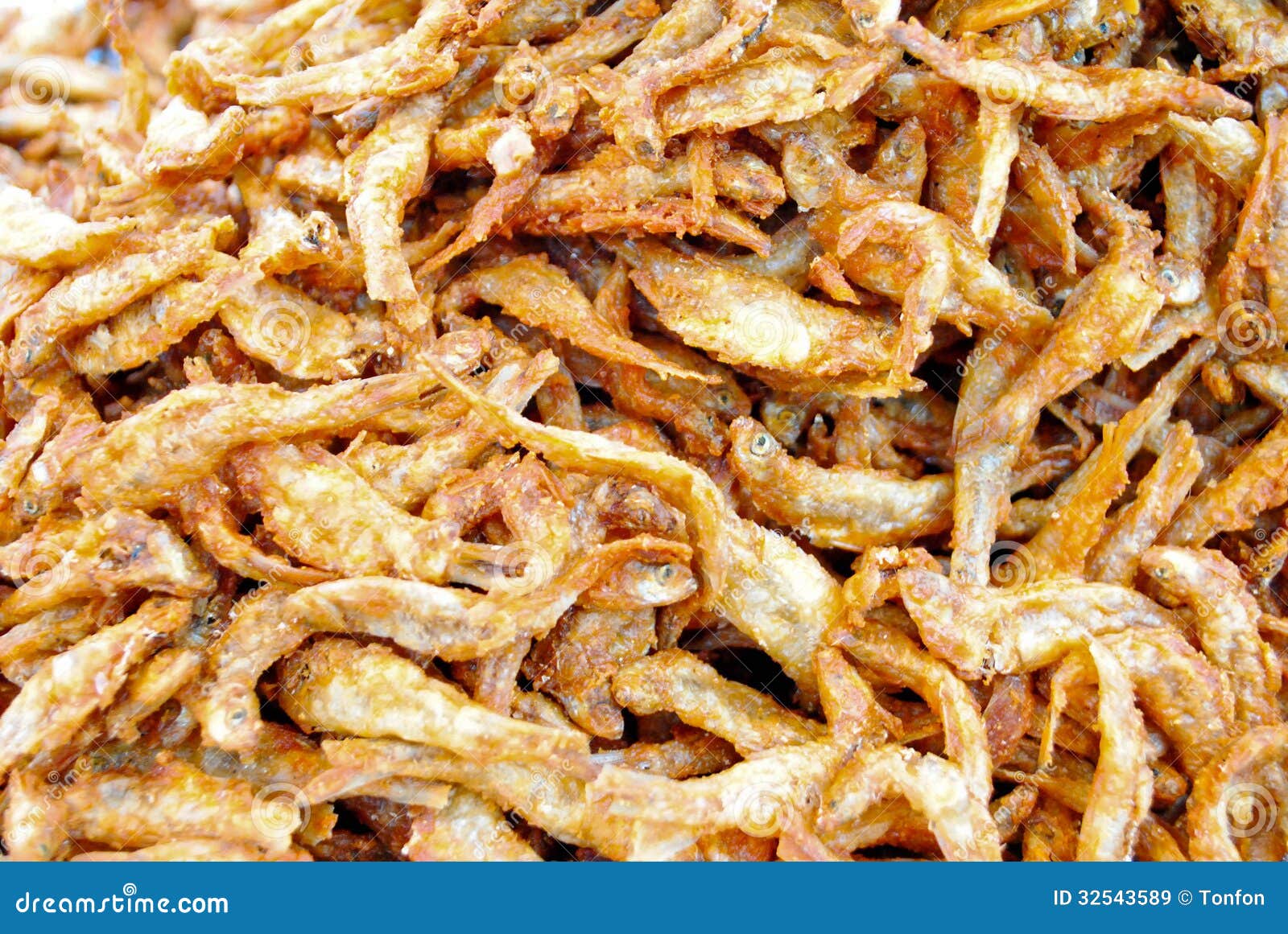 Fried small fish stock image. Image of ethnic, fishes - 32543589