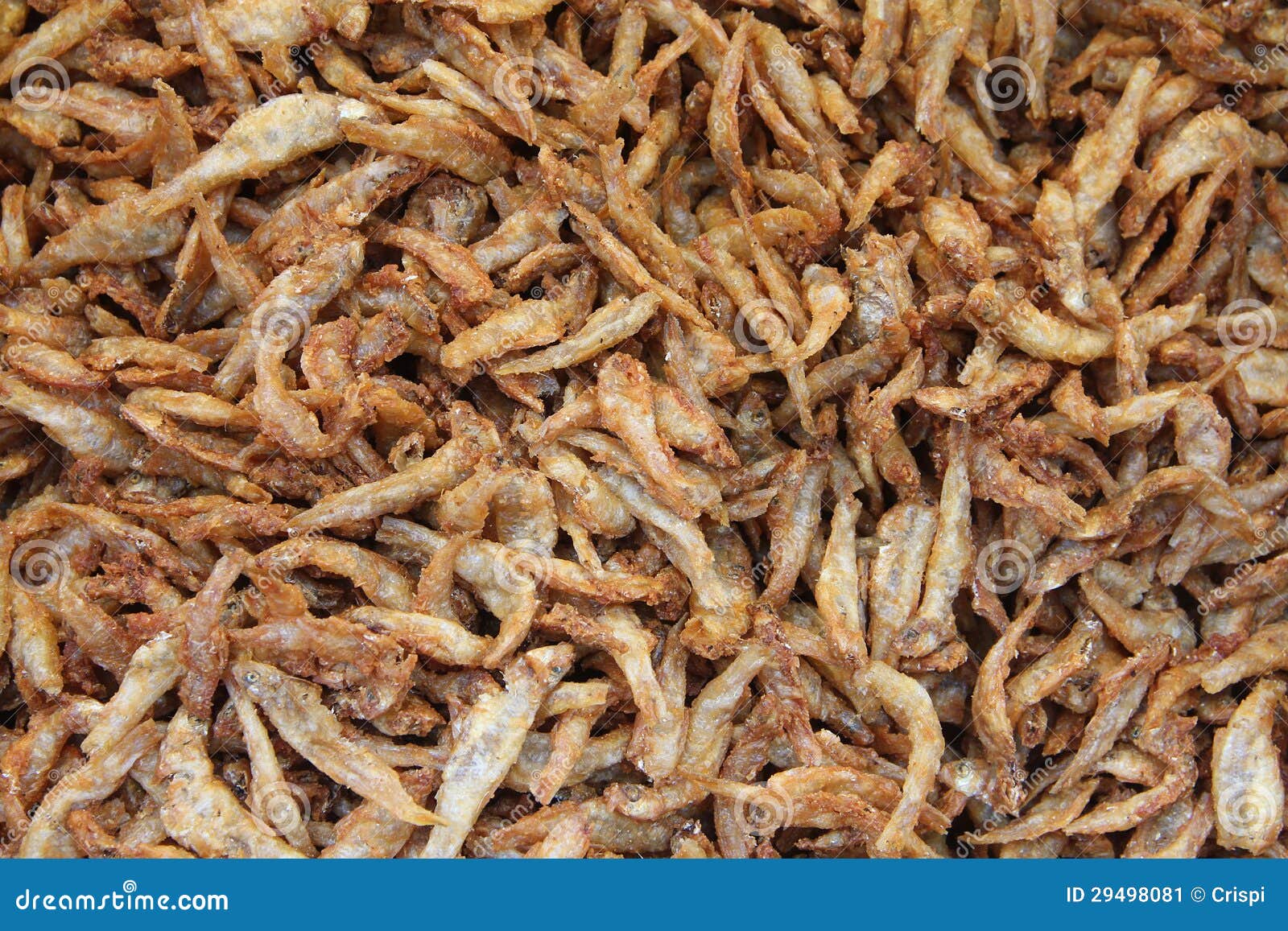 Fried small fishes stock image. Image of marine, snack - 29498081