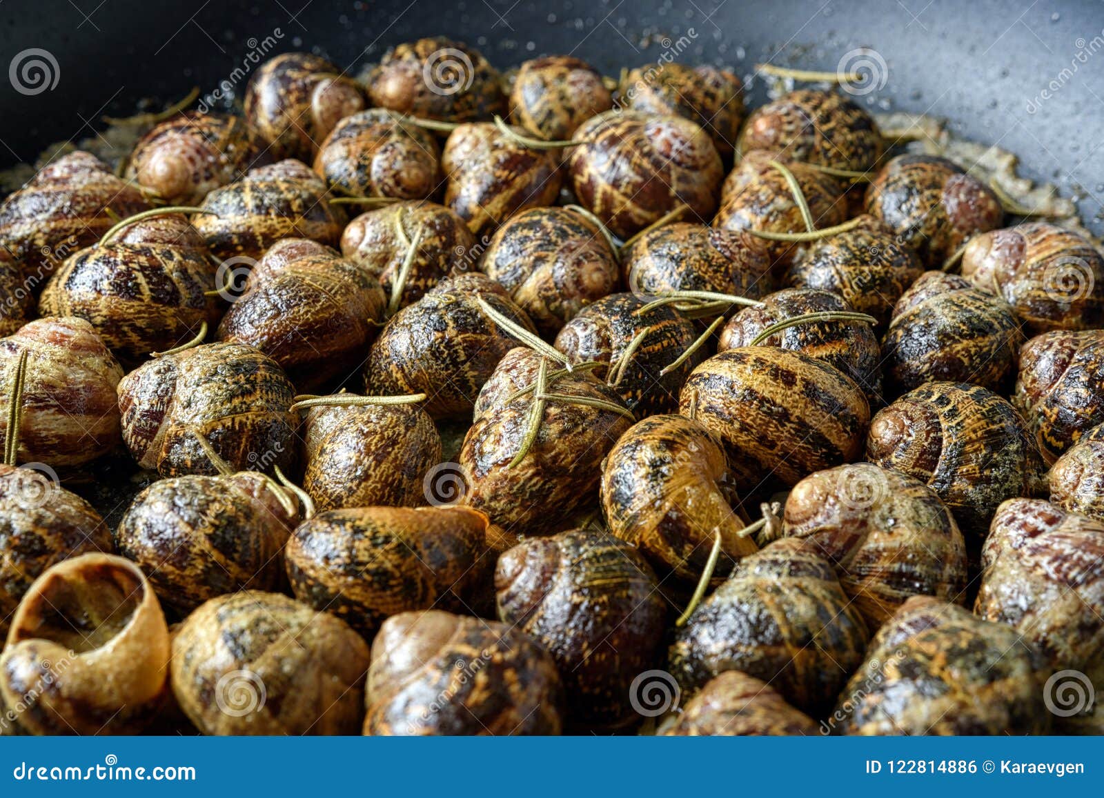 Fried Snails in a Frying Pan with Rosemary Stock Photo - Image of asia ...