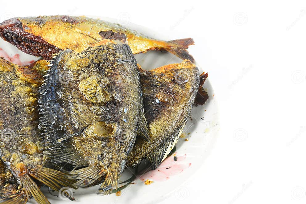 Fried Snakeskin Gourami on White Stock Image - Image of basket, gourami ...