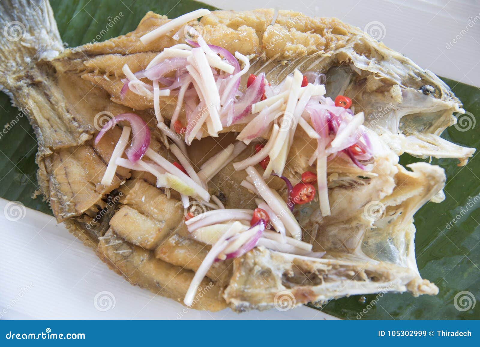Fried snapper fish stock image. Image of nutrition, lunch - 105302999