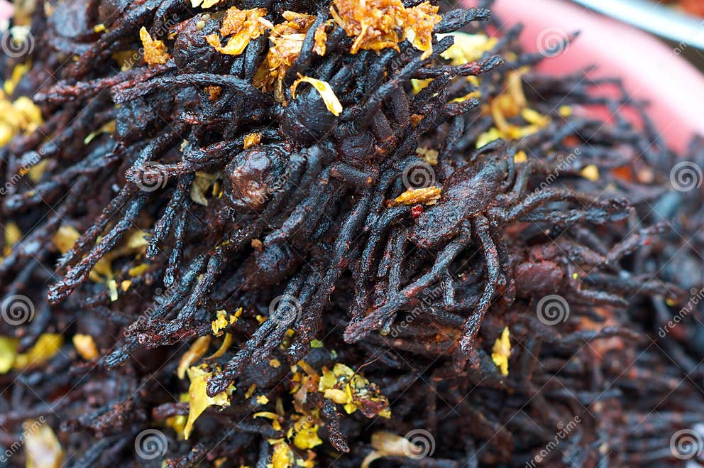 Fried Spider Cambodia stock image. Image of food, culture - 23699545