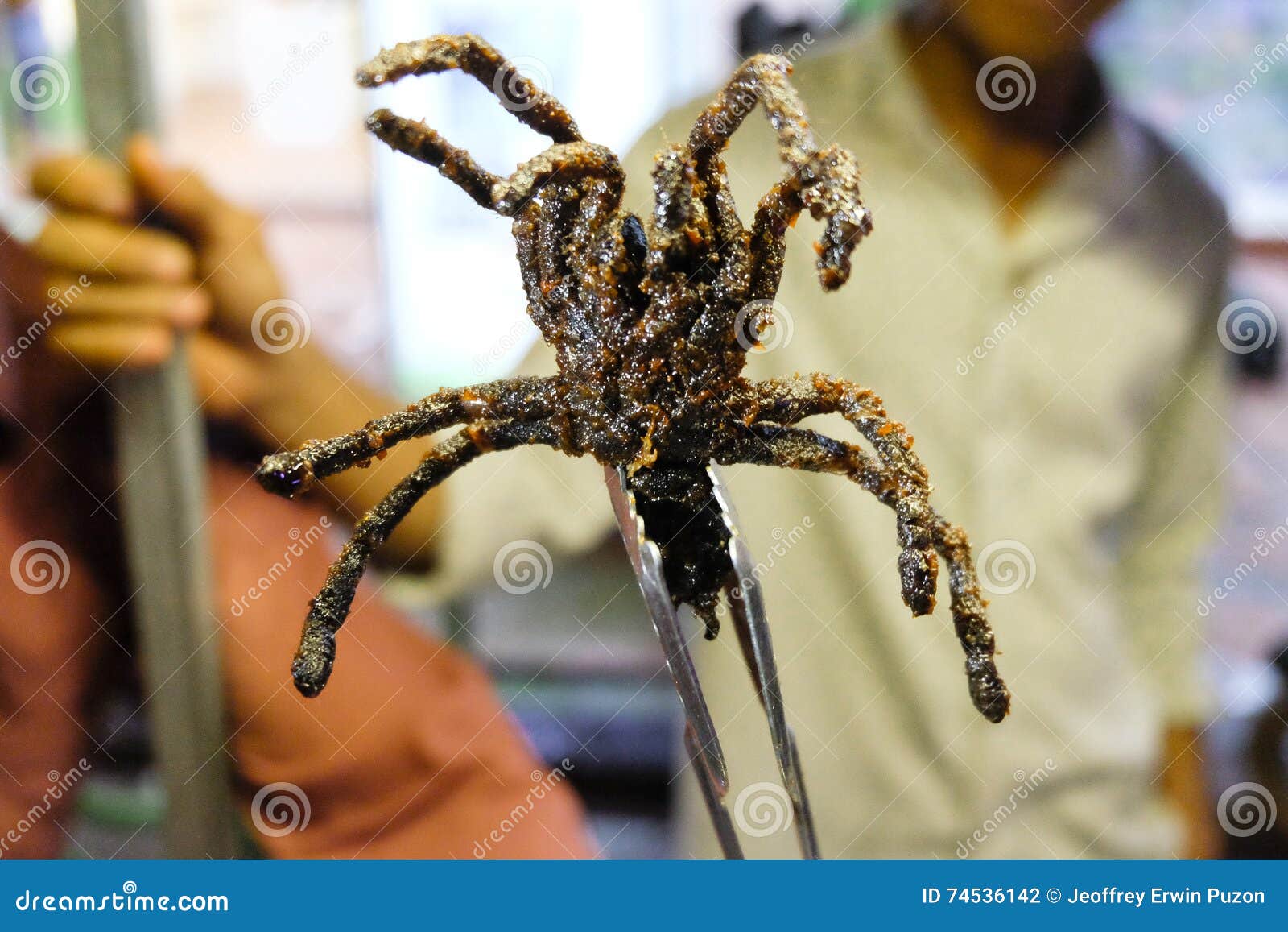 Fried Spiders stockfoto. Bild von insekte, schleichen - 74536142