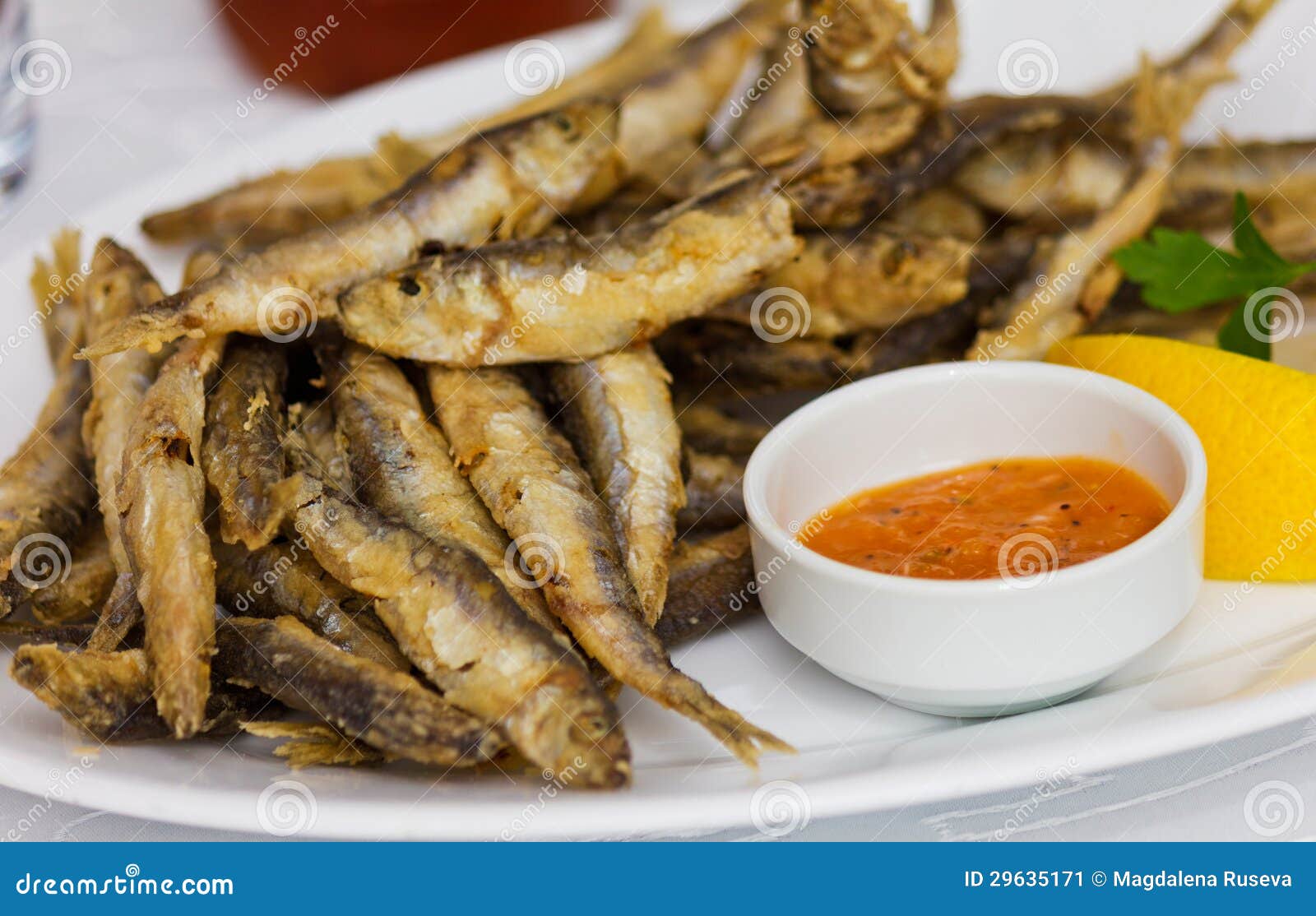 SPRAT Royalty-Free Stock Photography | CartoonDealer.com #172733681