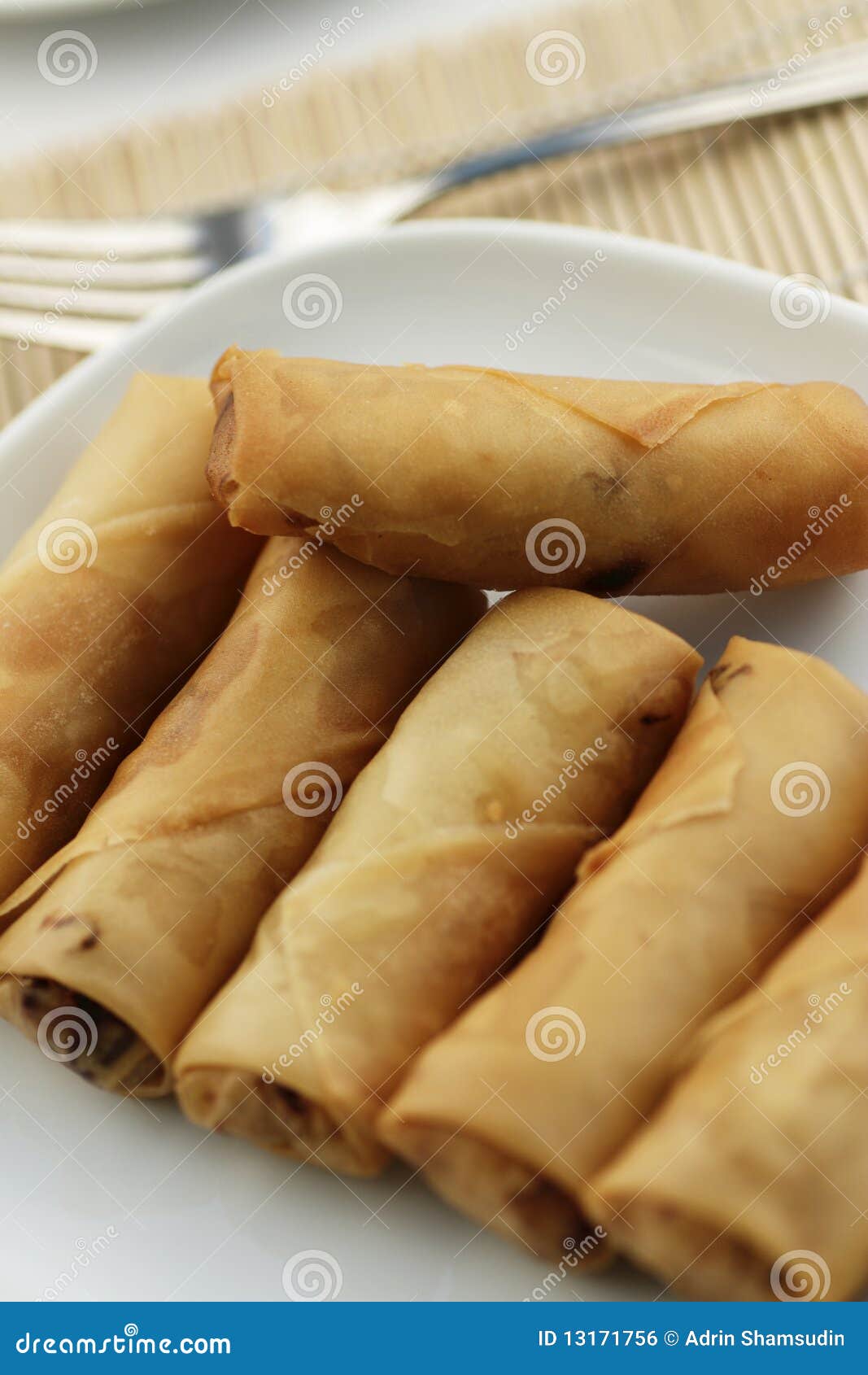 Fried spring rolls stock photo. Image of steel, vertical - 13171756