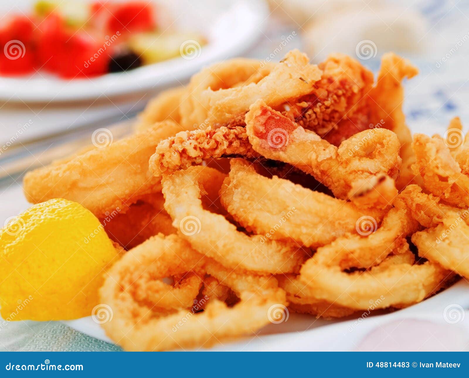 Fried squid stock image. Image of ready, single, close - 48814483