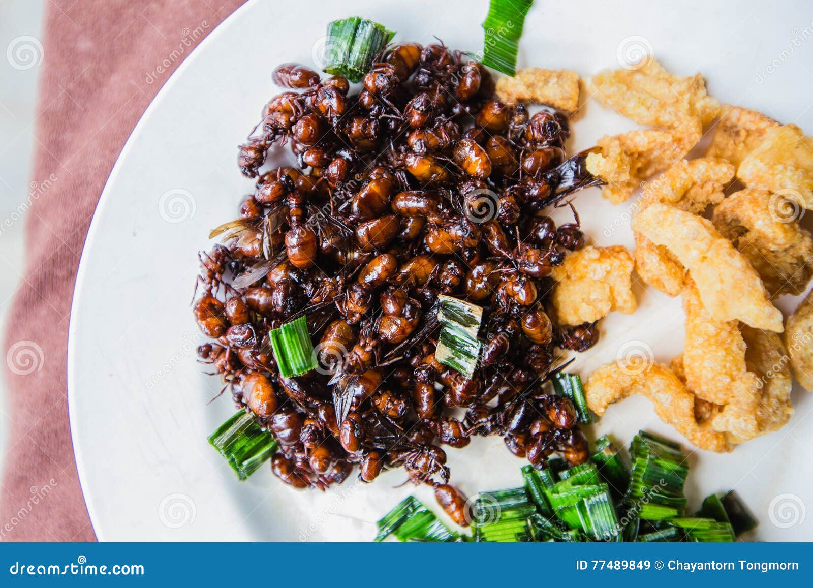 Fried subterranean ants stock image. Image of appetizer - 77489849