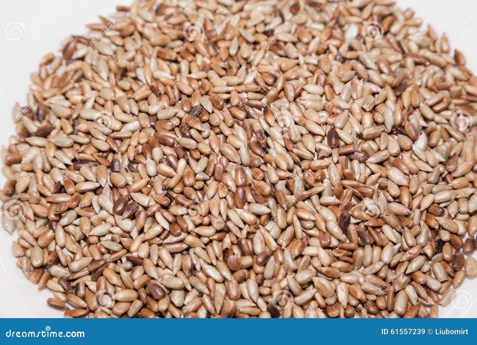 Fried Sunflower Seed Kernels Stock Image - Image of focus, peel: 61557239