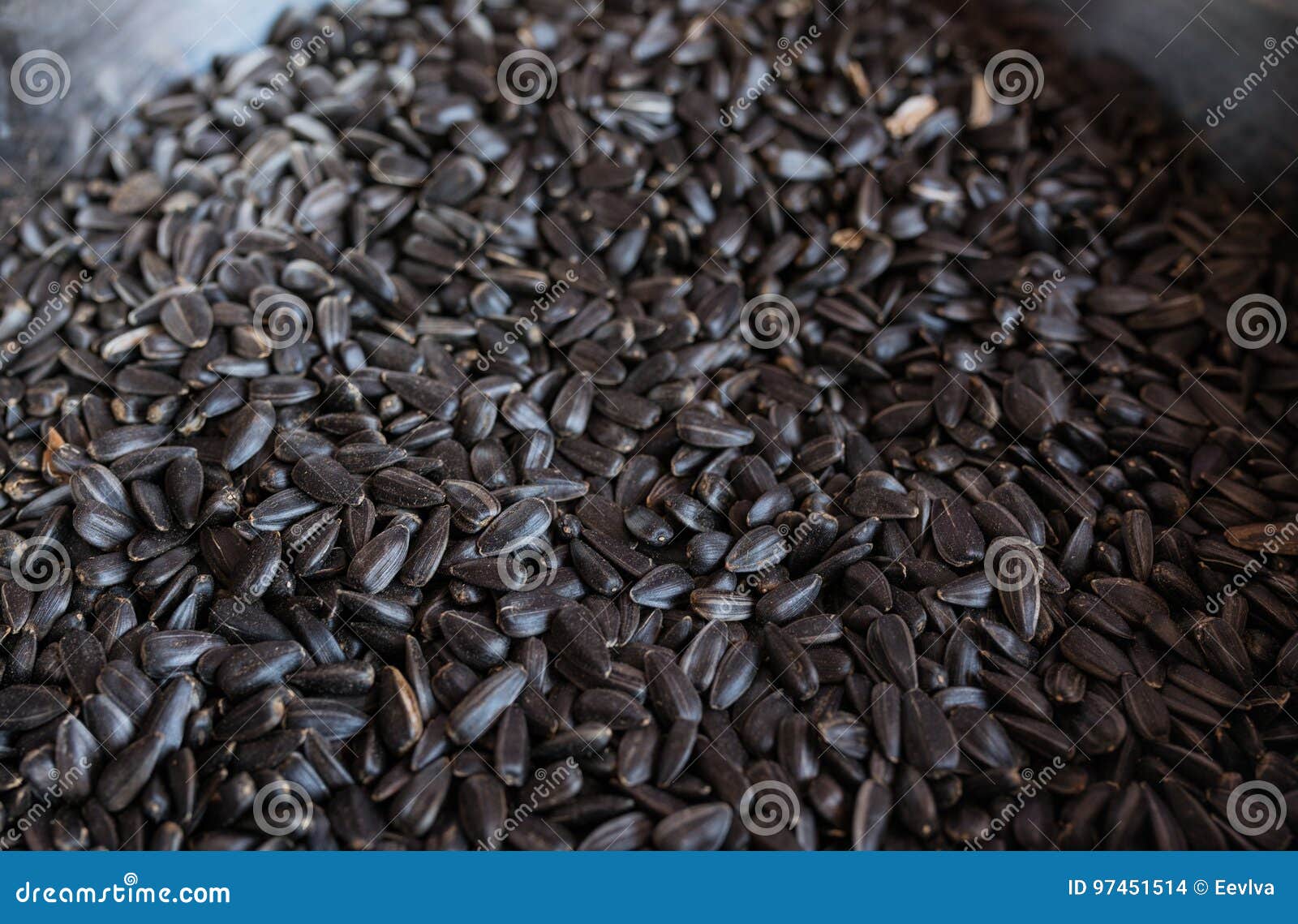 Fried sunflower seeds. stock photo. Image of fiber, crunchy - 97451514