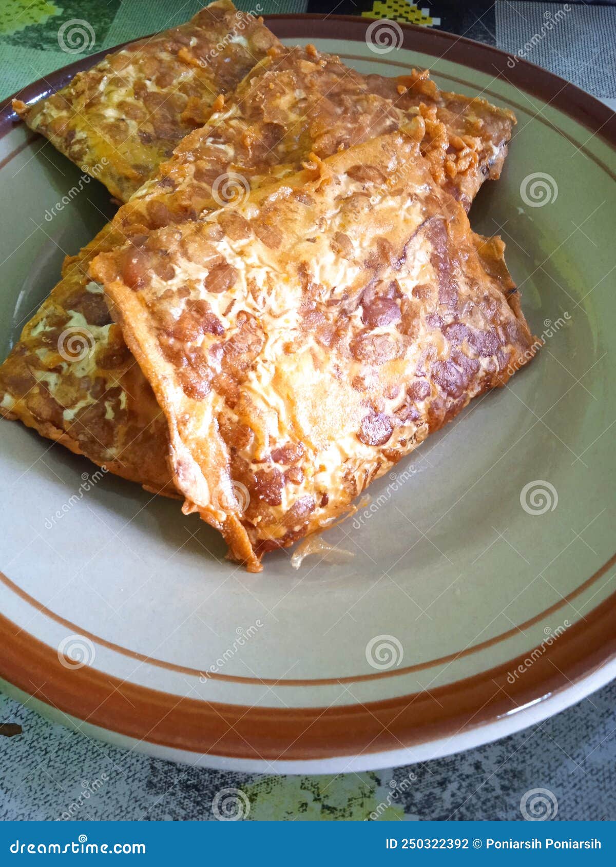 Fried tempe dish stock photo. Image of vegetable, meat - 250322392