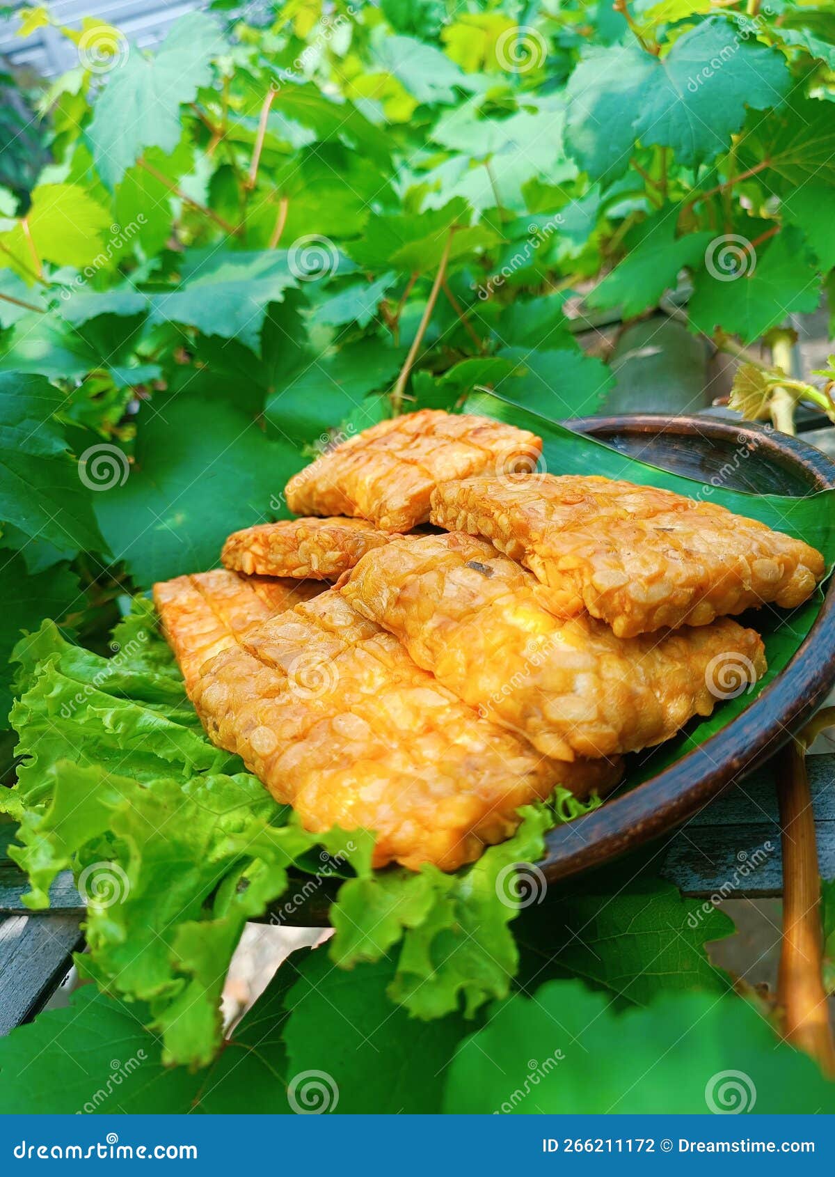 FRIED TEMPE INDONESIAN SPECIAL FOOD Stock Photo - Image of fried ...