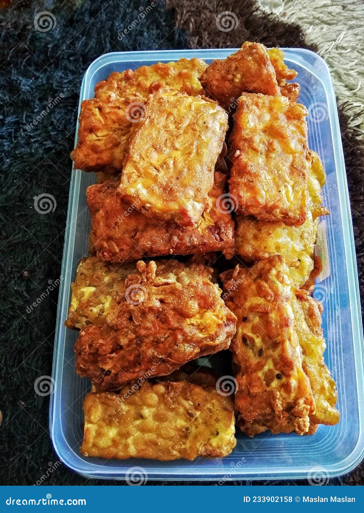 Fried tempe stock photo. Image of baking, dish, arranged - 233902158