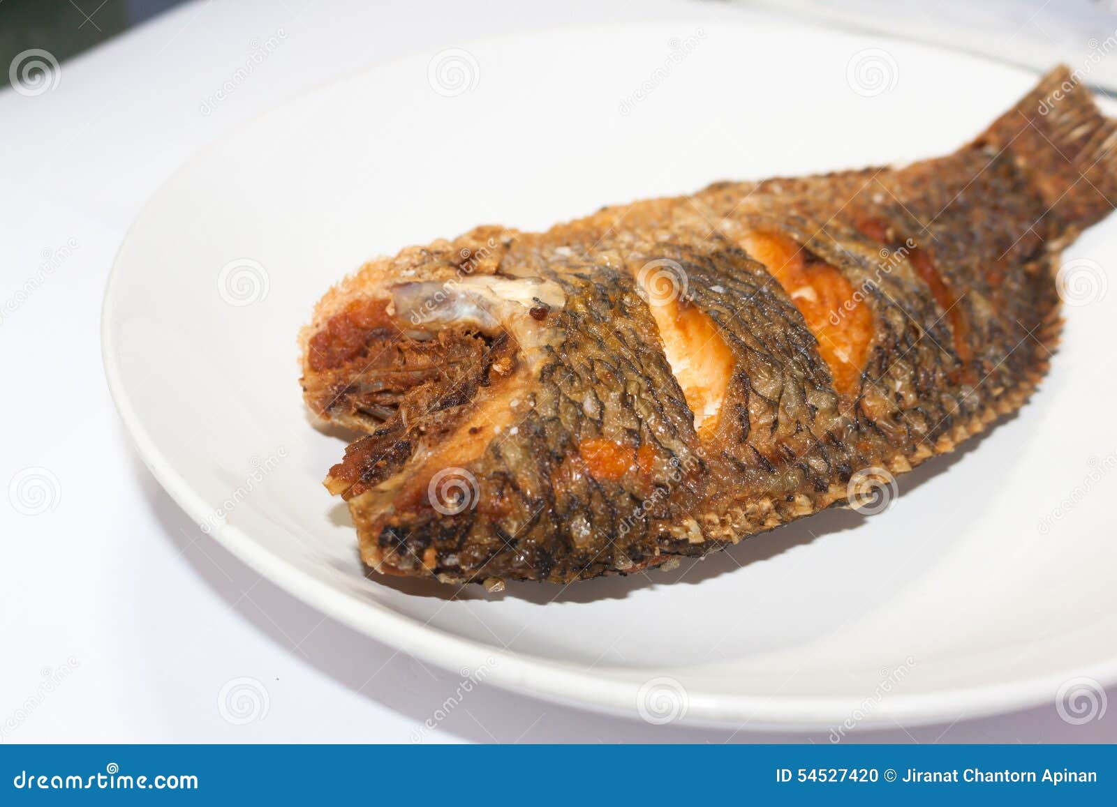 Fried tilapia Fish stock photo. Image of cuisine, tilapia - 54527420
