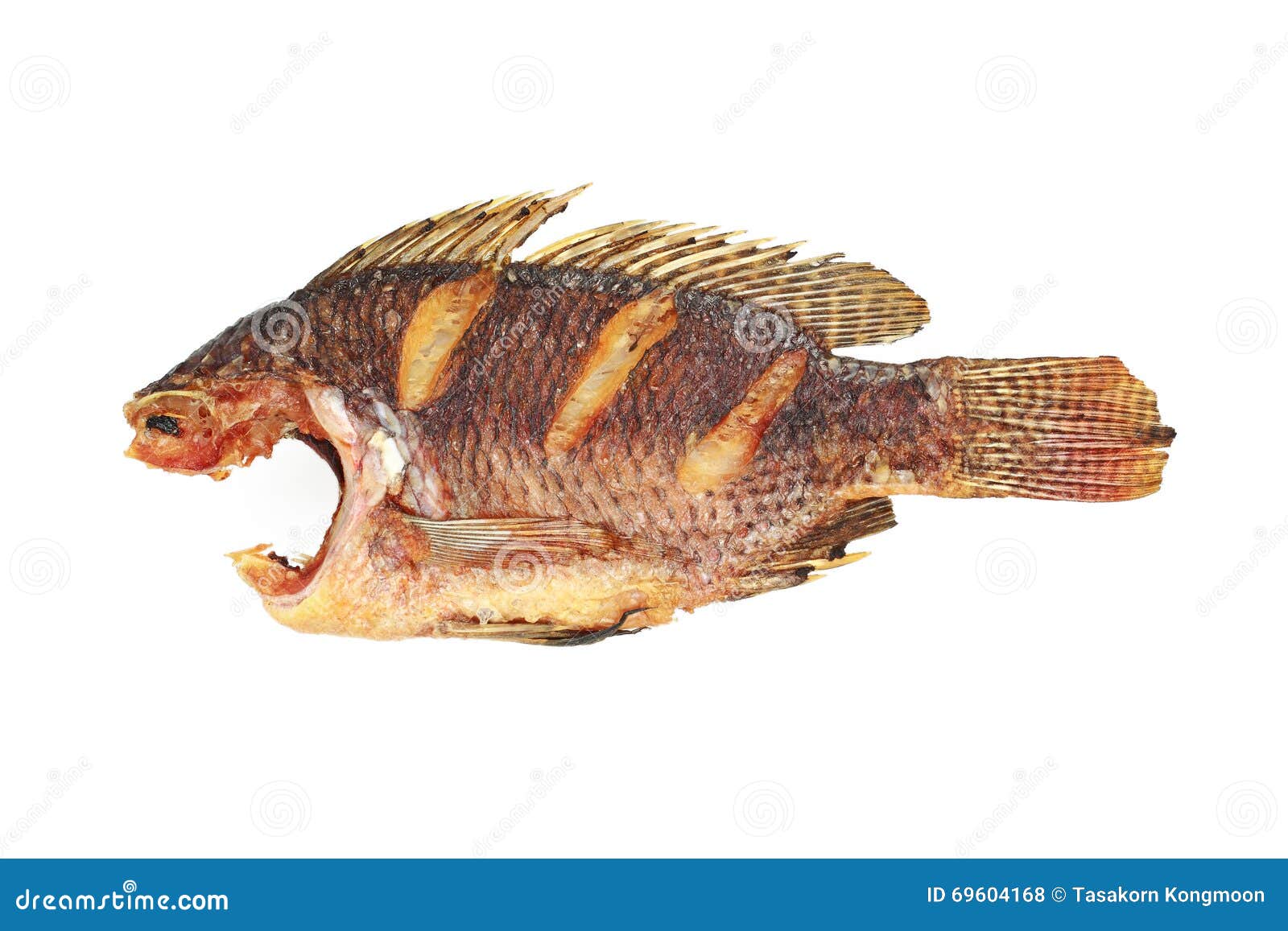 Fried Tilapia Fish without Head Isolated on White Stock Photo - Image ...