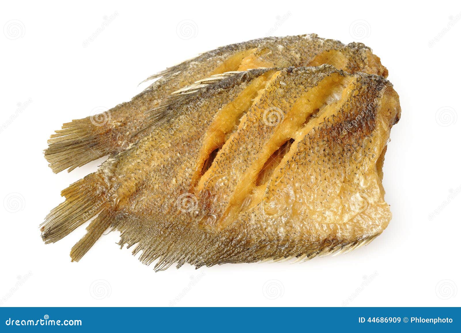 Trichogaster Pectoralis Or Gourami Fish ,freshwater Fish,asia Isolated ...