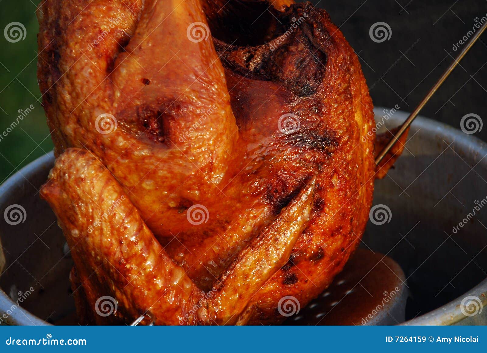 Fried turkey stock image. Image of food, turkey, fried - 7264159
