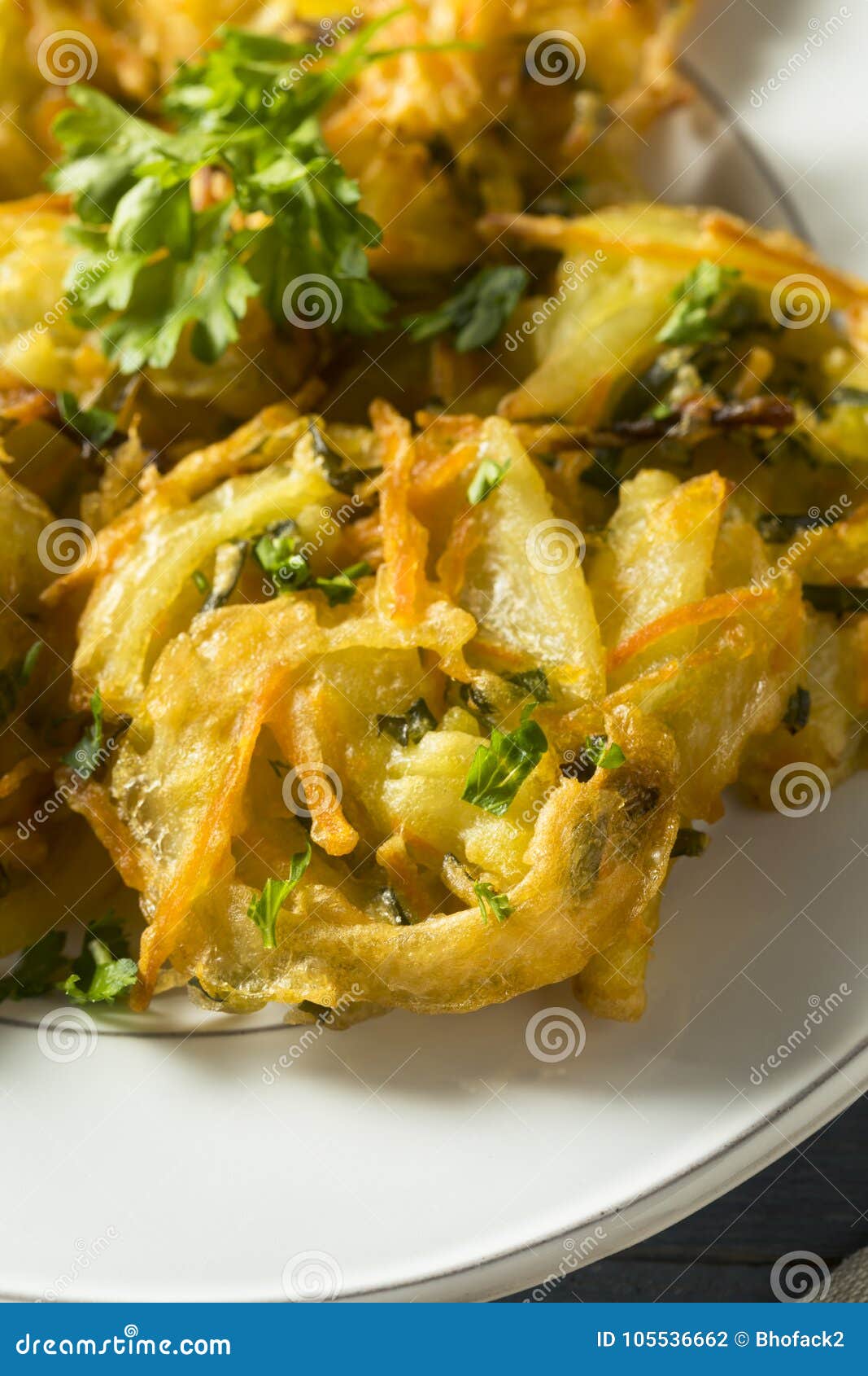 Fried Vegetable Birds Nests Hecho En Casa Foto de archivo - Imagen de ...
