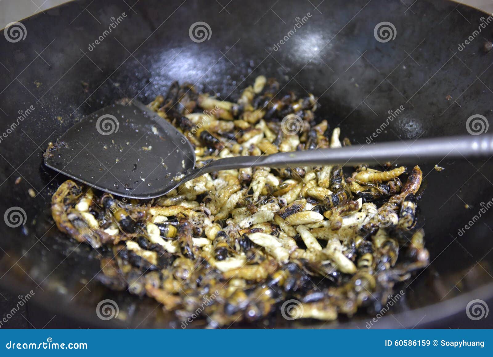 Fried wasp stock image. Image of hymenopterous, pain - 60586159