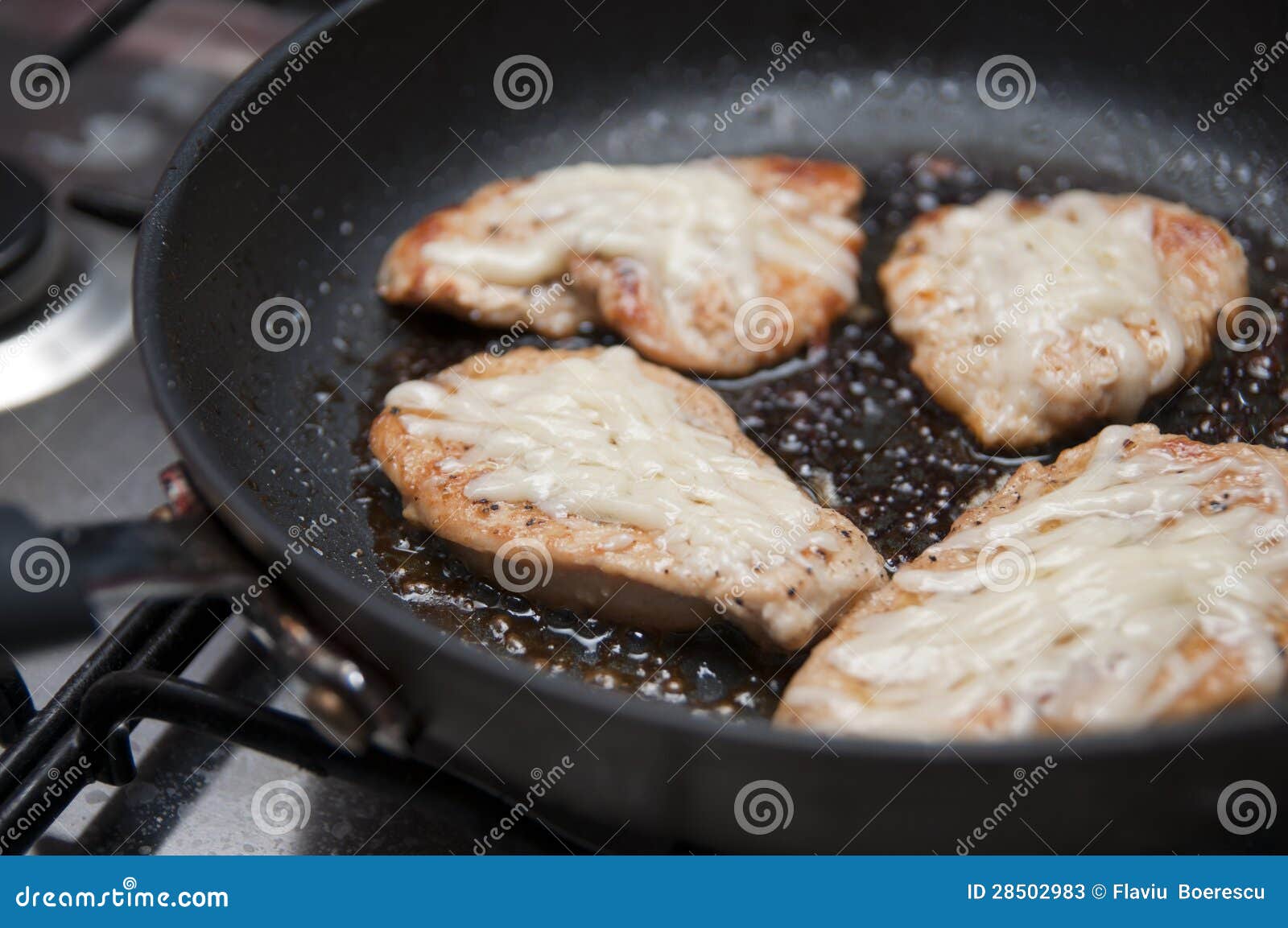 Fried white meat stock image. Image of grated, reggiano - 28502983