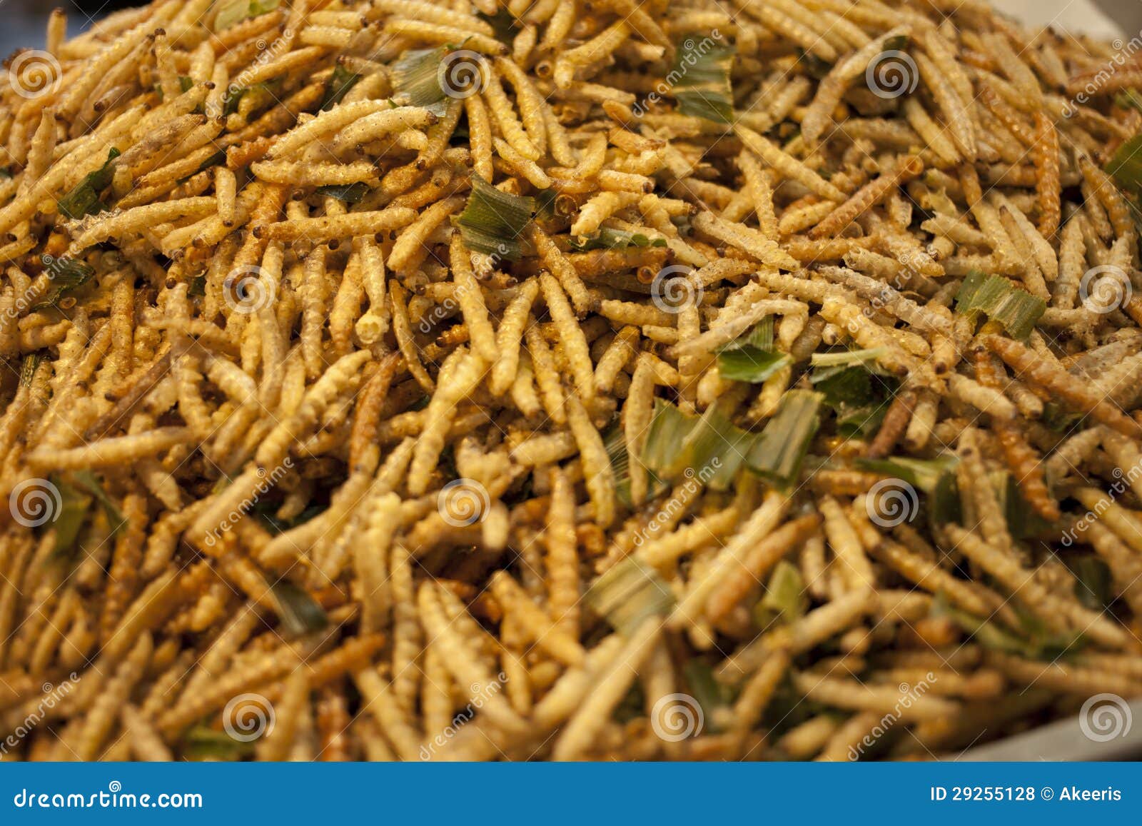 Fried worm stock photo. Image of dinner, caterpillar - 29255128