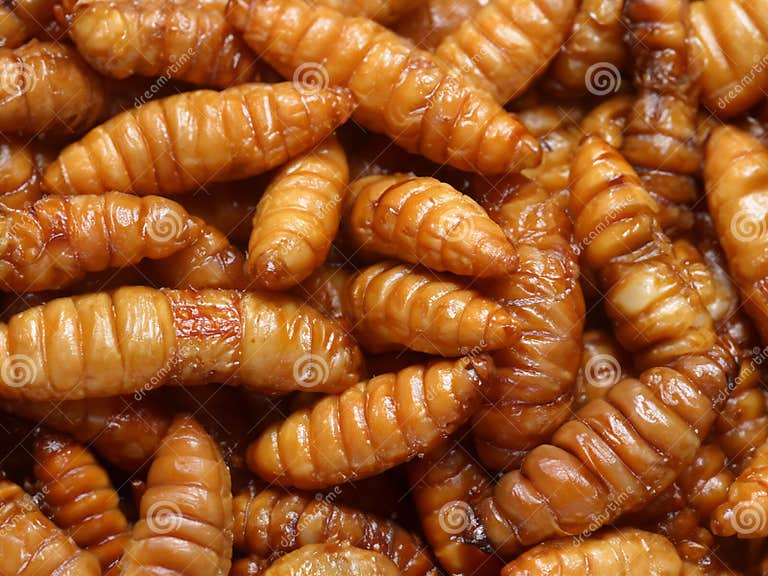 Fried Worm Meat in the Market Stock Photo - Image of isolated, cuisine ...
