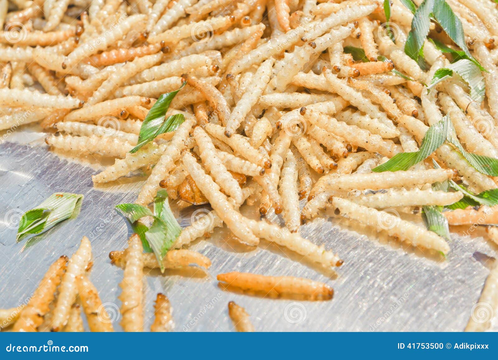 Fried worms. stock photo. Image of exotic, biology, animal - 41753500