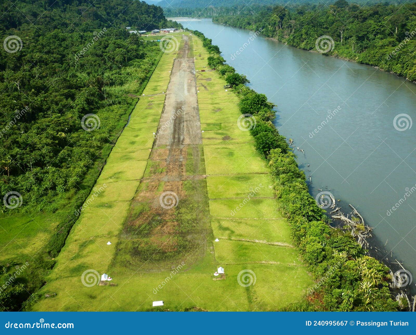 Frieda River stock image. Image of guinea, papua, 1970s - 240995667