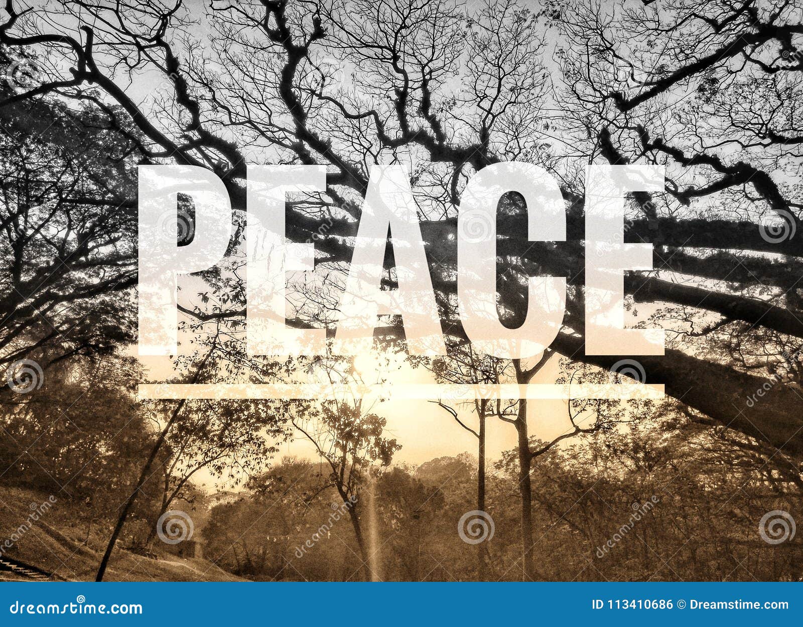 Frieden stockfoto. Bild von gemasert, frieden, nave - 113410686