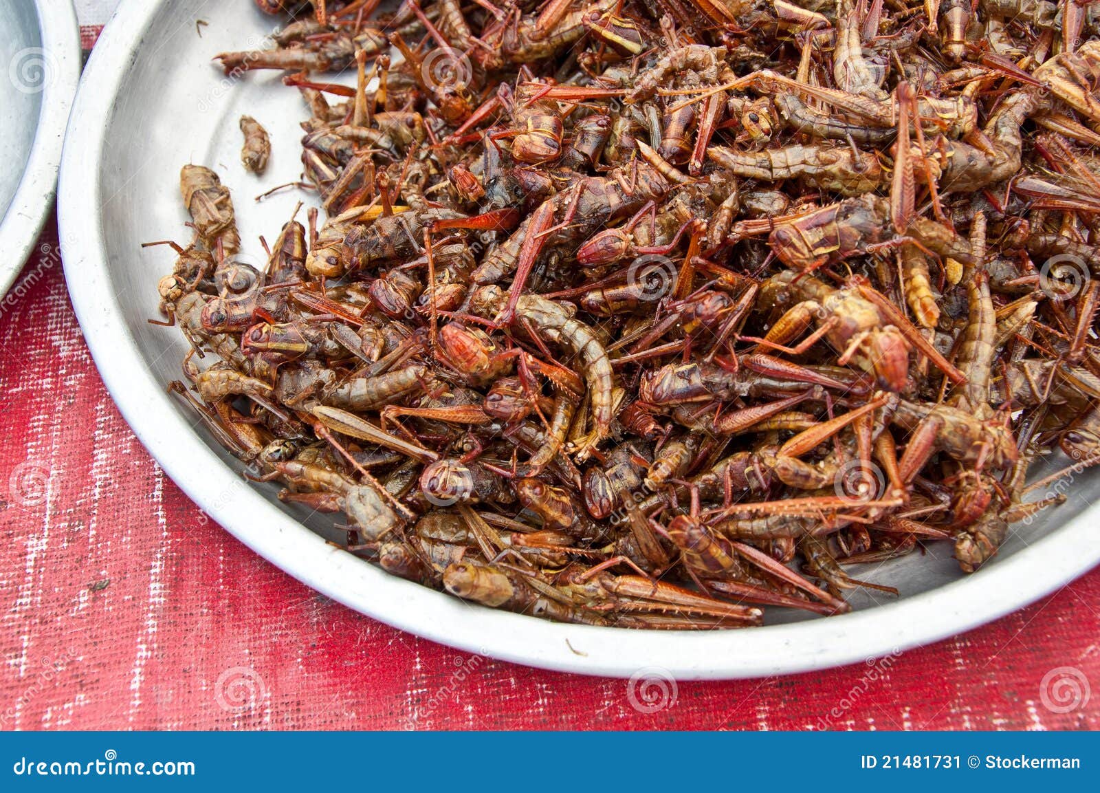 Fried mantis stock image. Image of meat, cuisine, delicious - 21481731