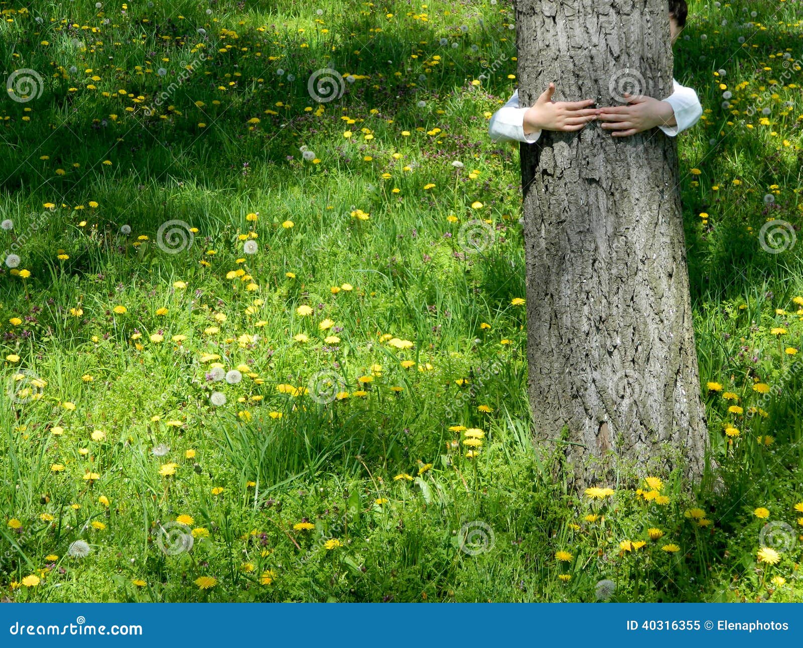 Friend of nature stock image. Image of friend, careful - 40316355