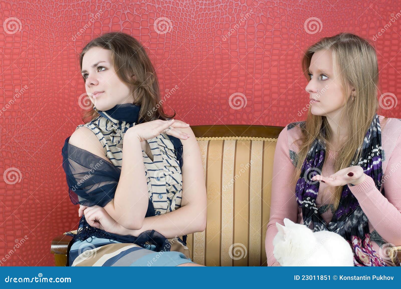 Friend Will Understand and Help Stock Image - Image of friendship ...