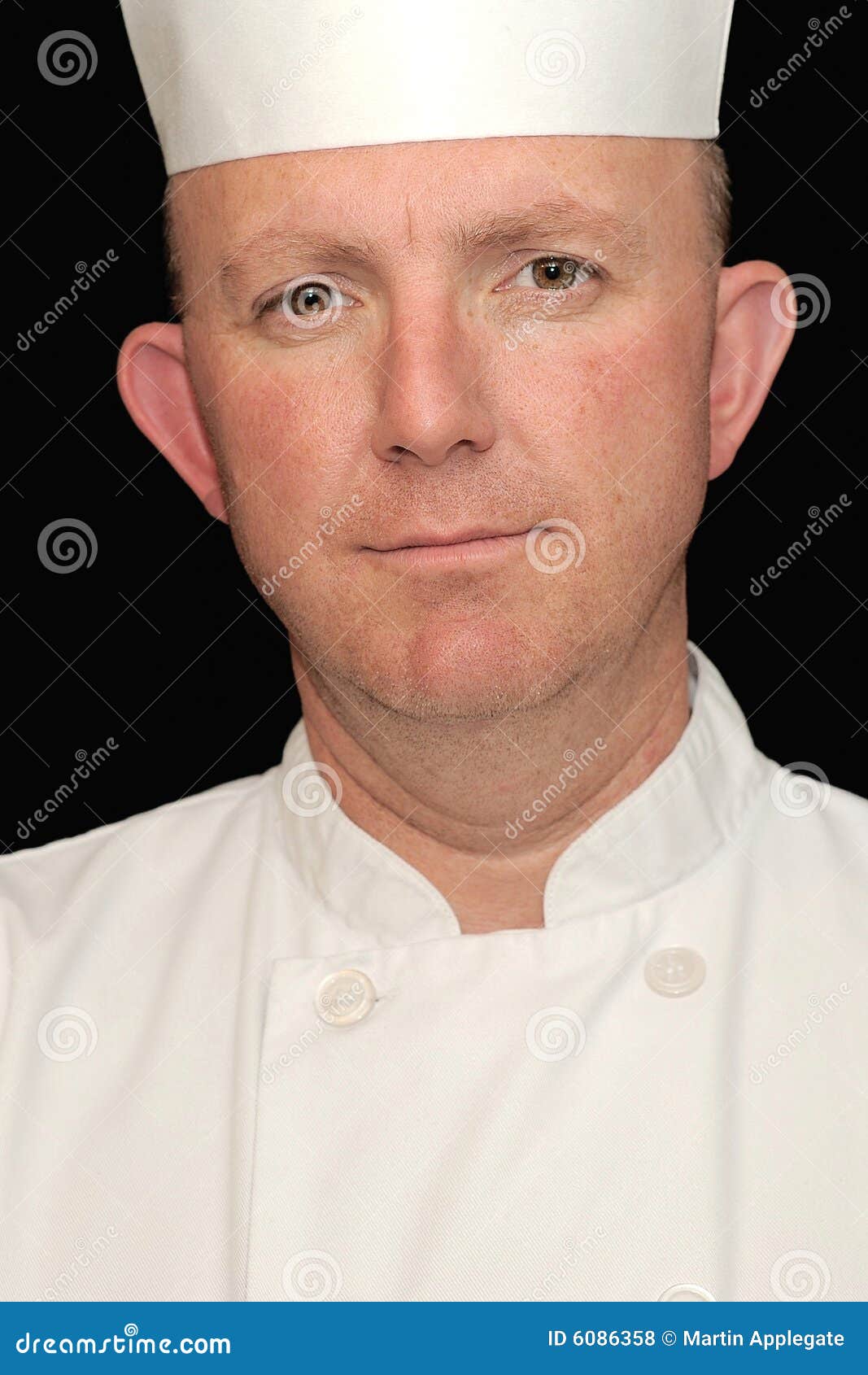 Friendly chef portrait stock photo. Image of professional - 6086358