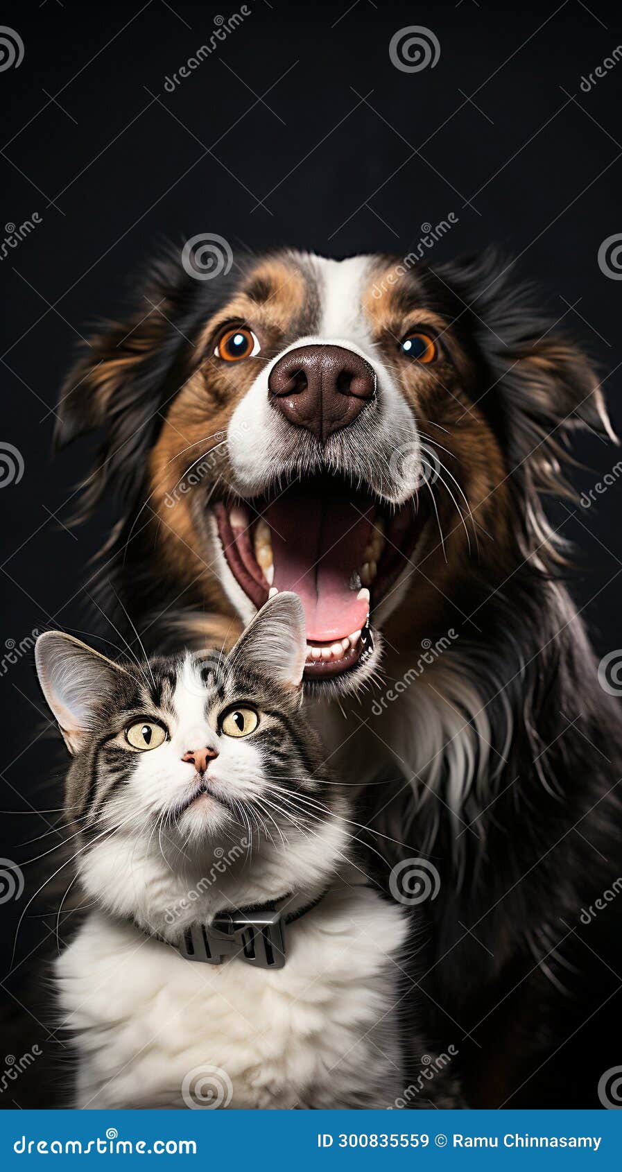 Friendly Dog and Cat Together Stock Illustration - Illustration of ...