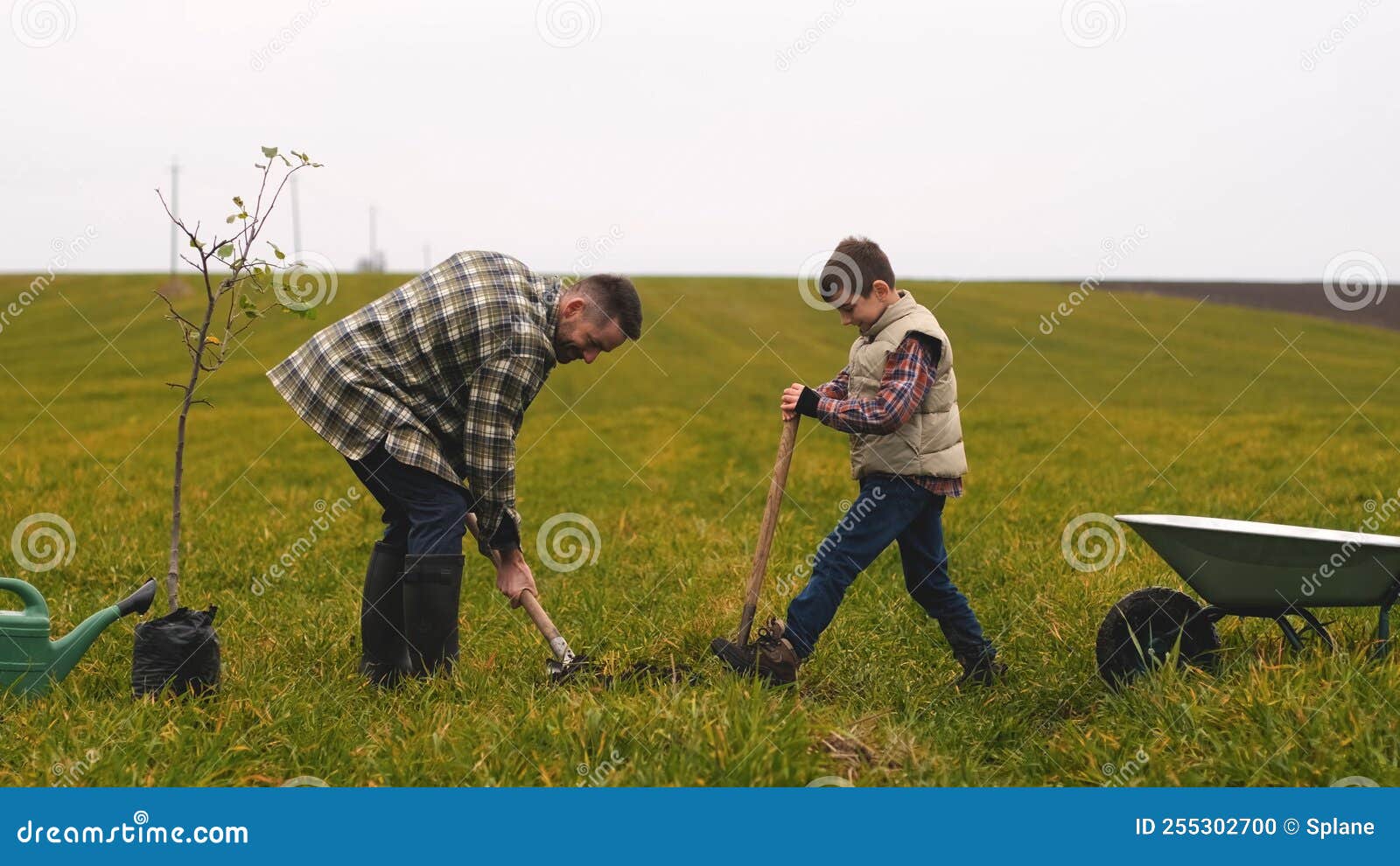 The Friendly Family Planting a Tree in the Green Field. Stock Photo ...