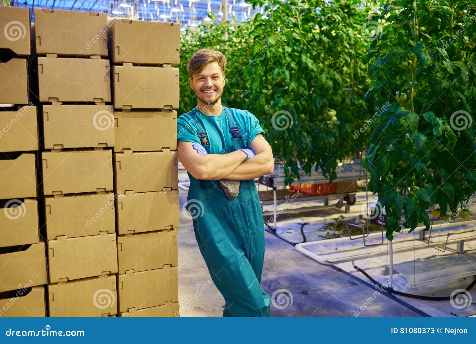 Friendly Farmer at Work in Greenhouse. Stock Image - Image of nutrition ...