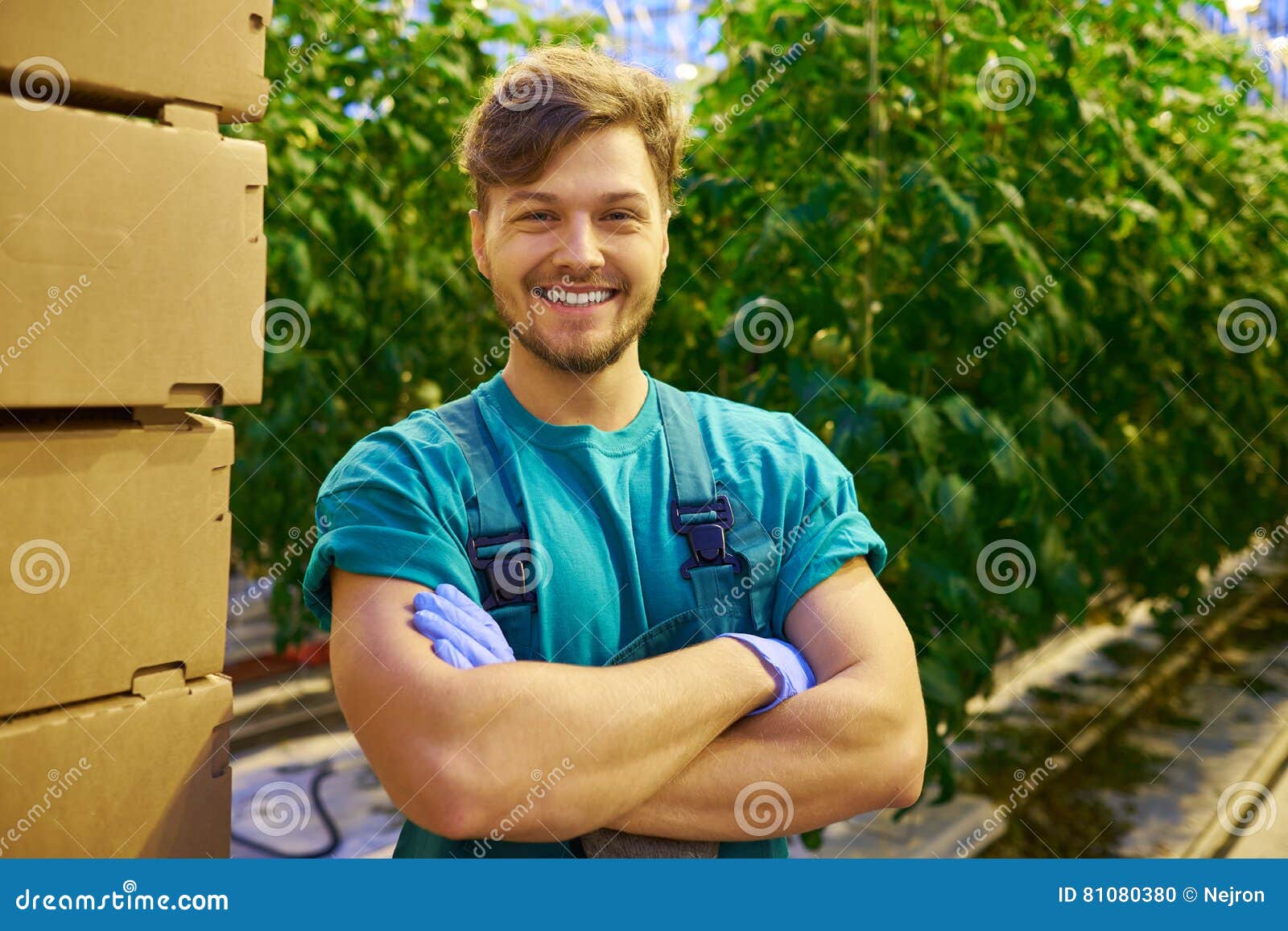 Friendly Farmer at Work in Greenhouse. Stock Photo - Image of farm ...