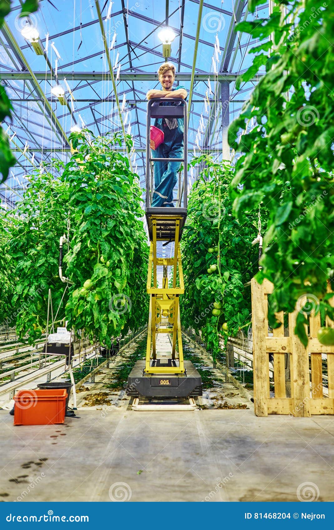 Friendly Farmer Working on Hydraulic Scissors Lift Platform in G Stock ...