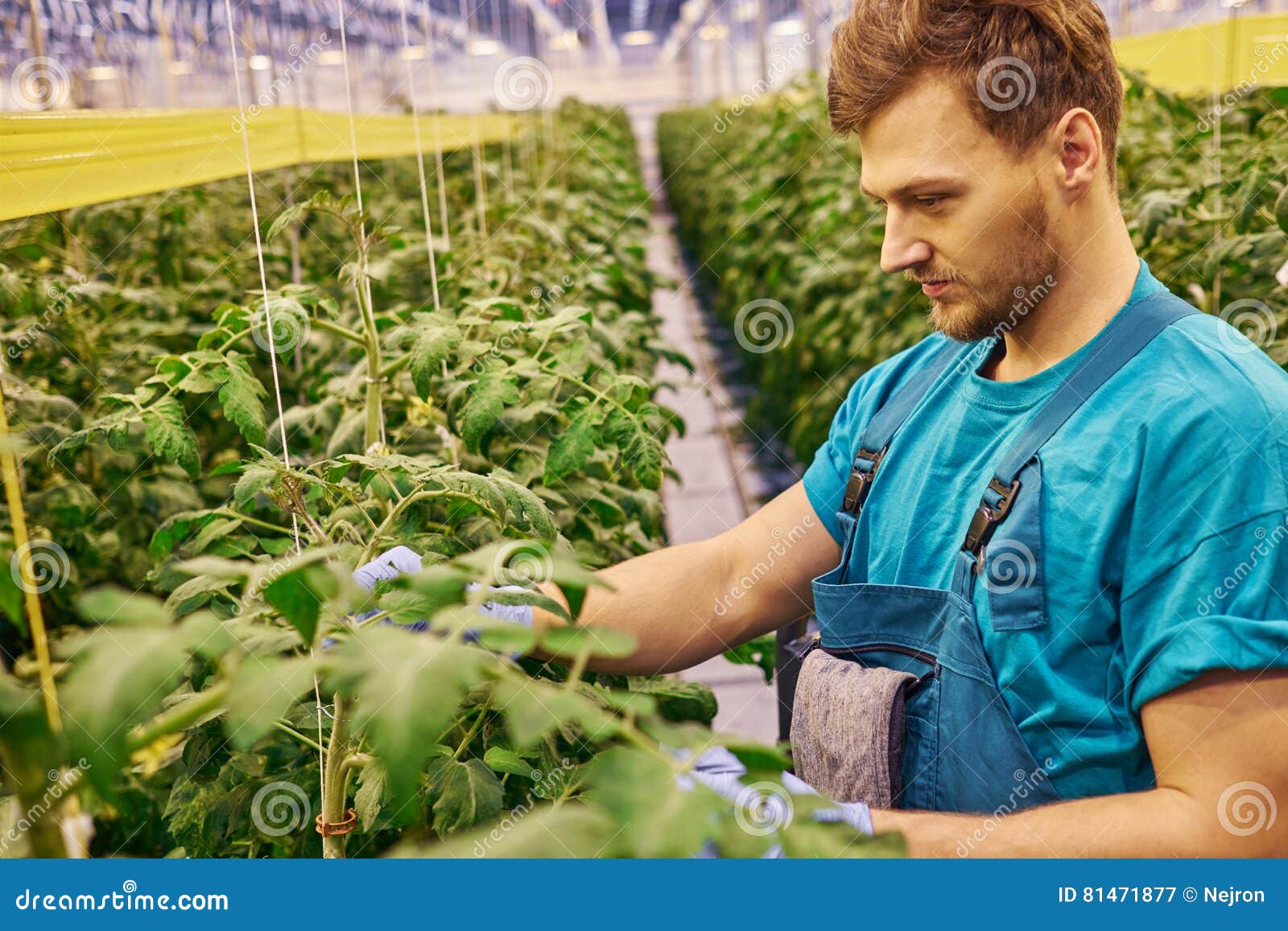 Friendly Farmer Working on Hydraulic Scissors Lift Platform in G Stock ...