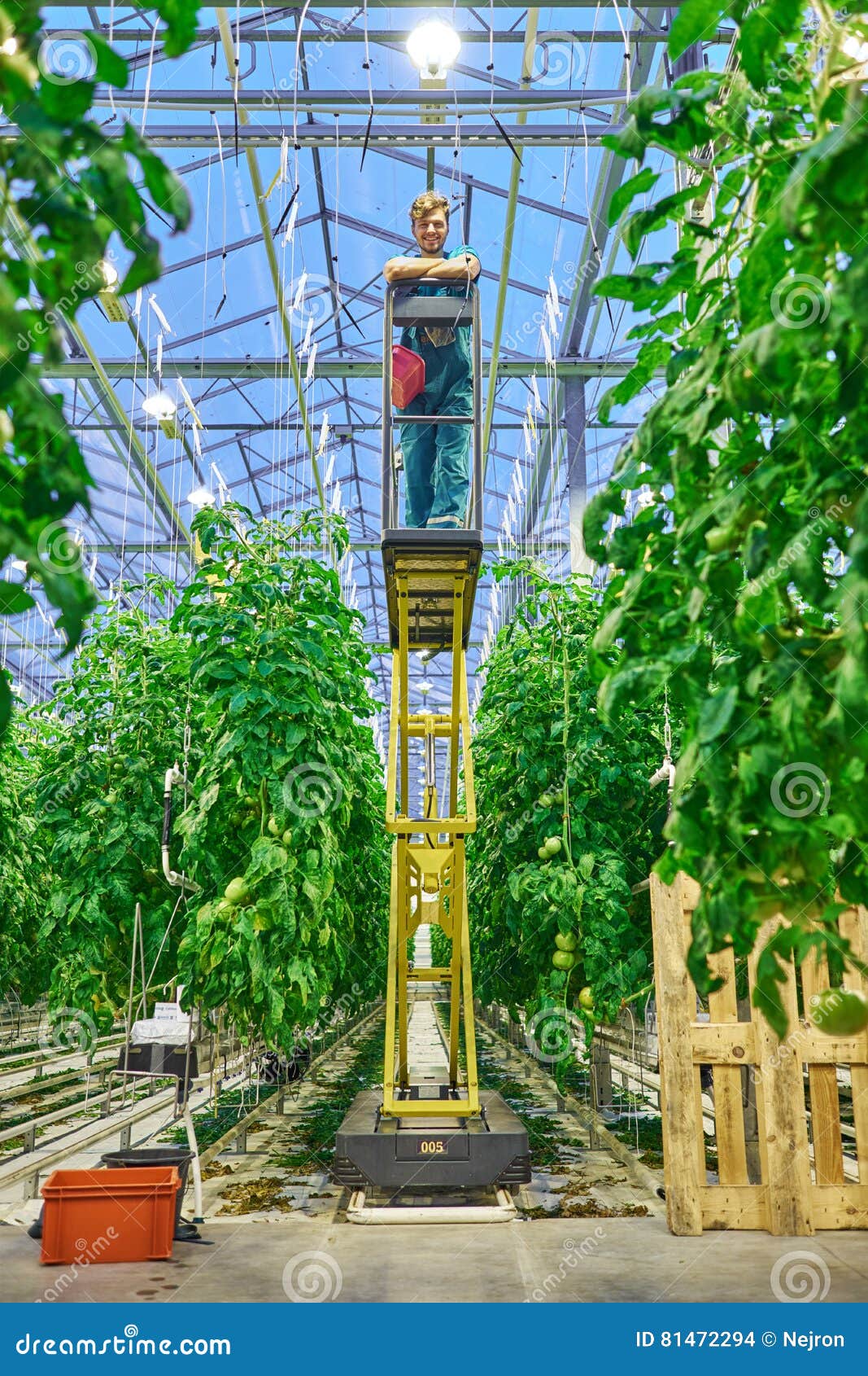 Friendly Farmer Working on Hydraulic Scissors Lift Platform in G Stock ...