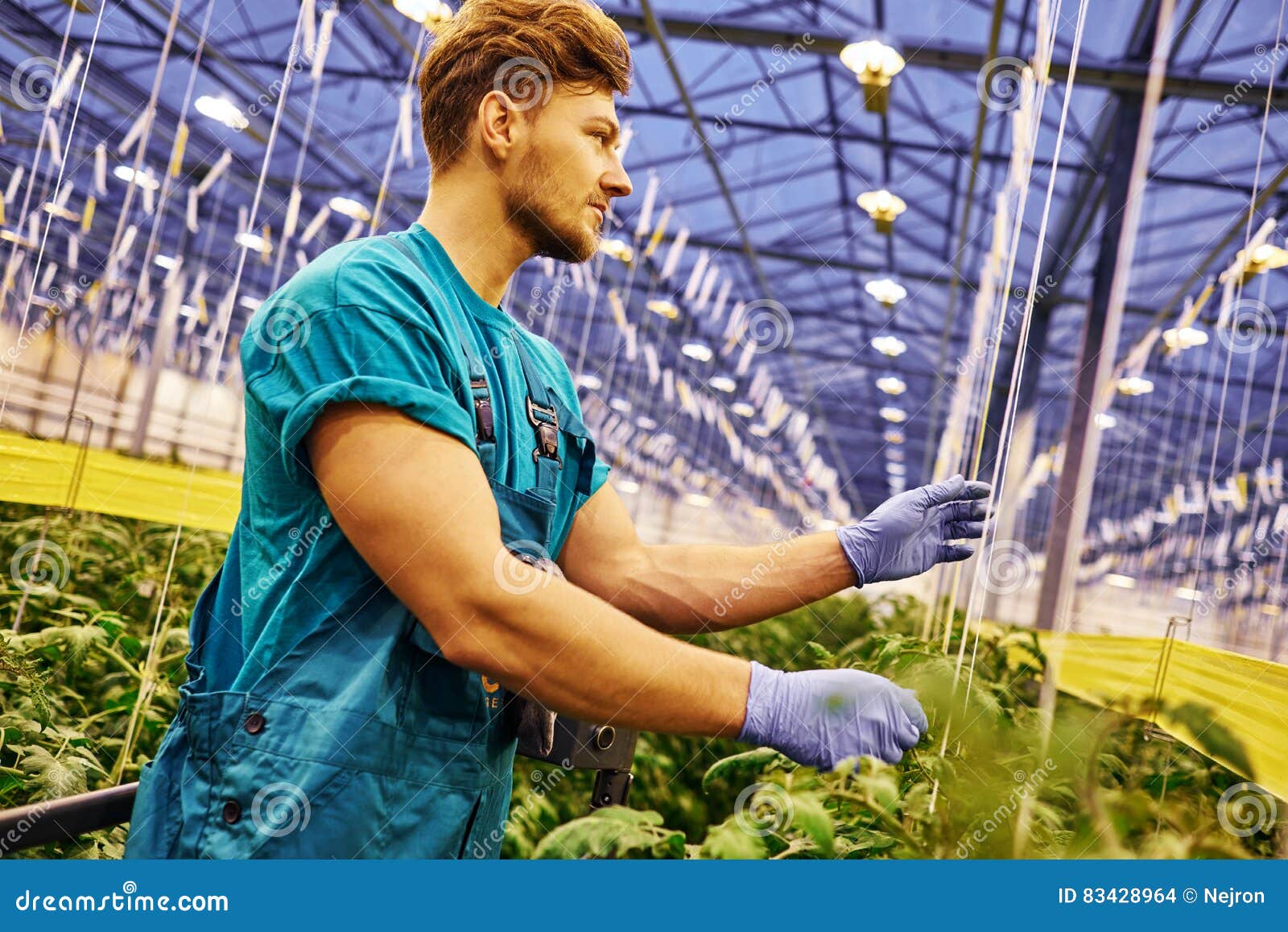 Friendly Farmer Working on Hydraulic Scissors Lift Platform in ...