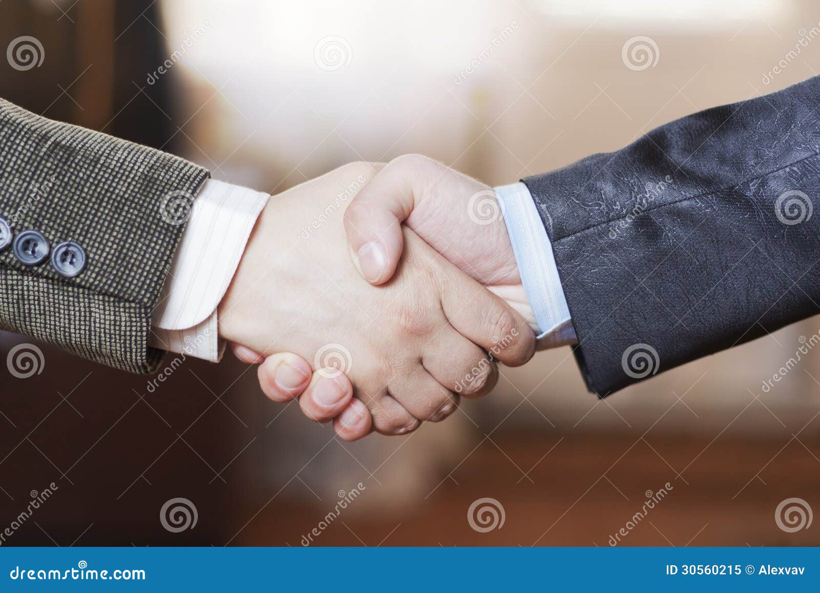 Friendly handshake stock image. Image of professional - 30560215