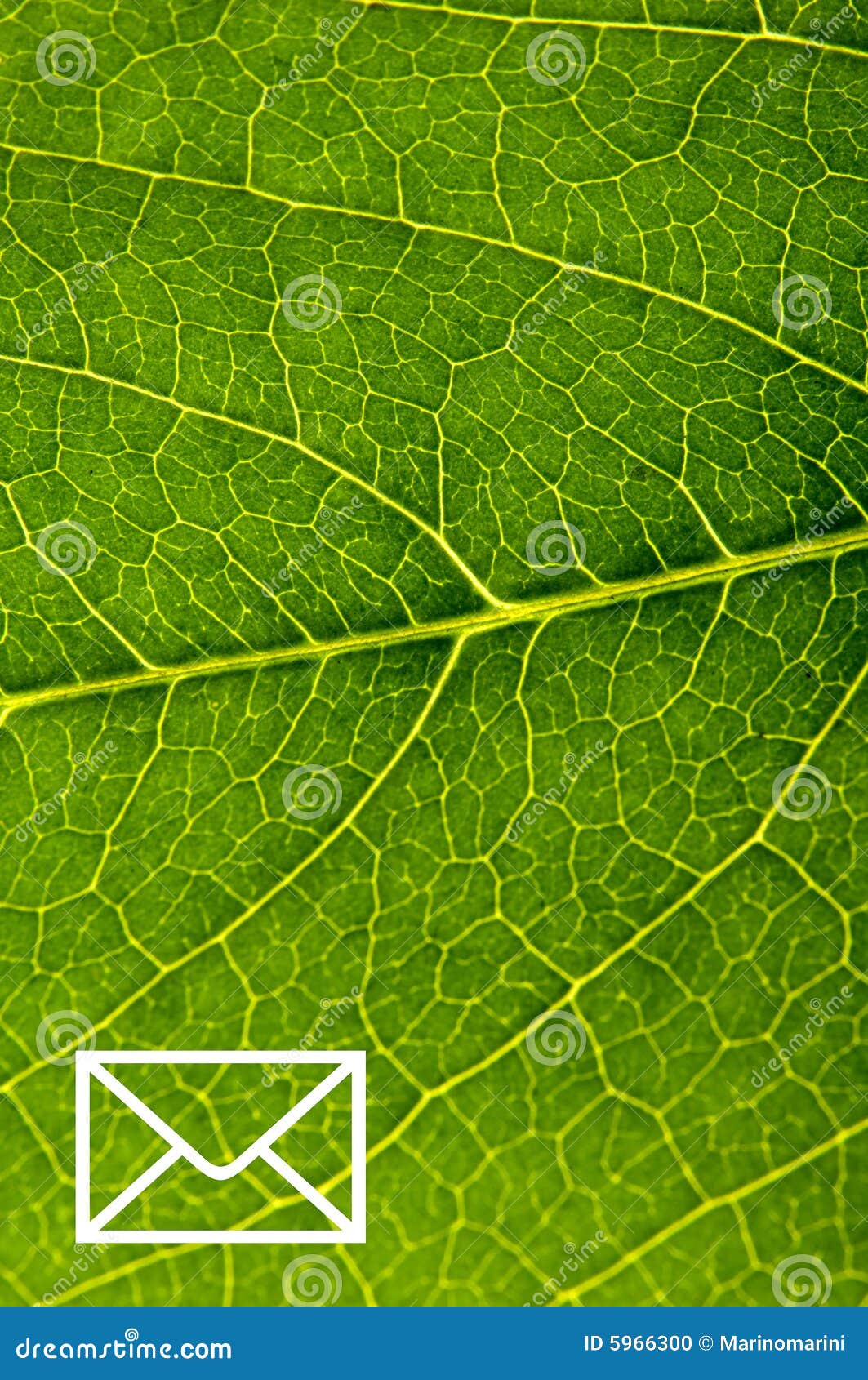 Friendly mail stock photo. Image of green, internet, envelope - 5966300