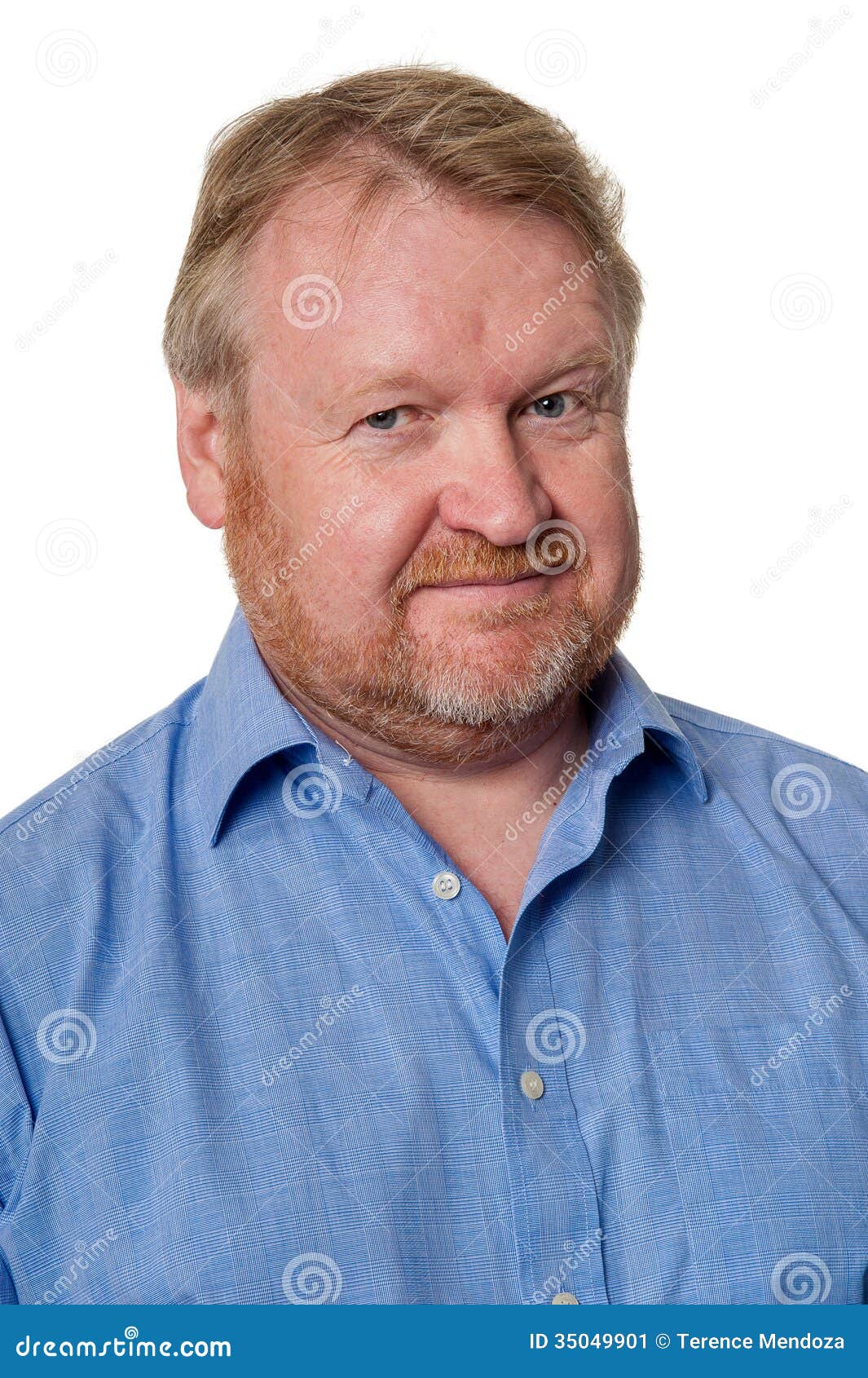 Friendly Middle Aged Bearded Guy in Blue Shirt - on White Stock Image ...