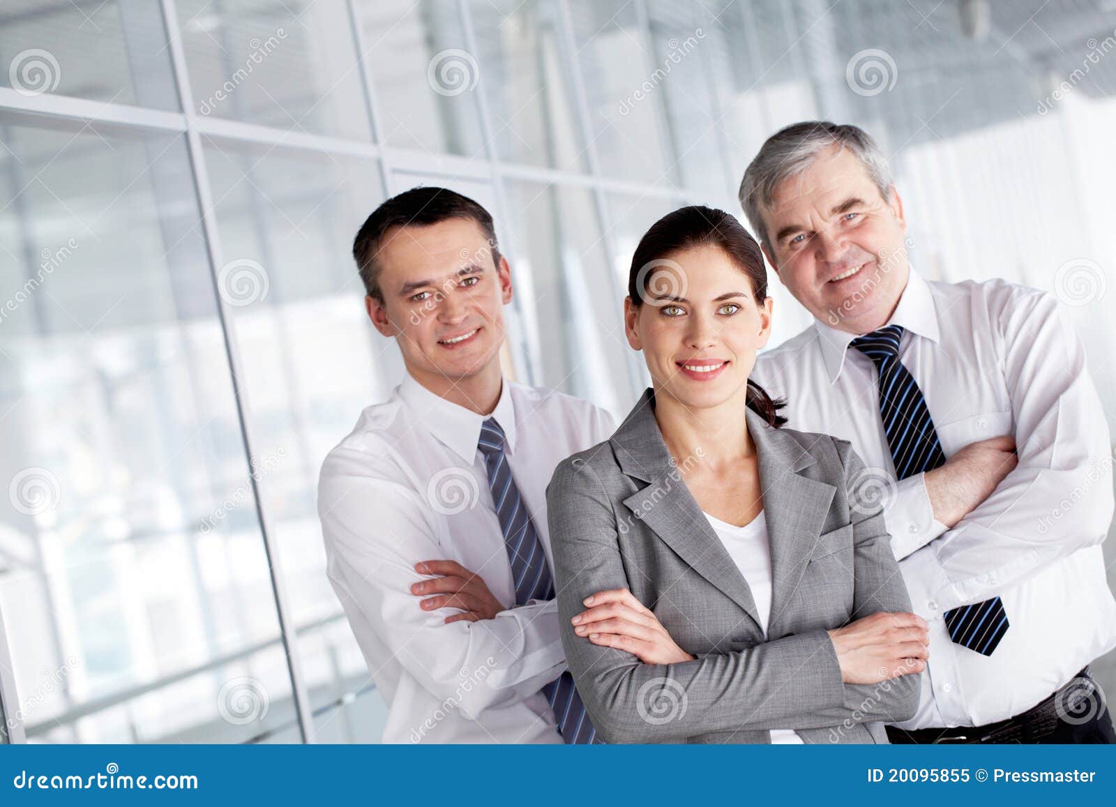 Friendly partners stock image. Image of businesswoman - 20095855