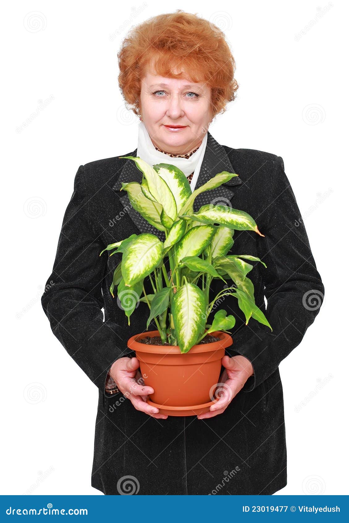 Friendly senior woman stock image. Image of arms, elderly - 23019477