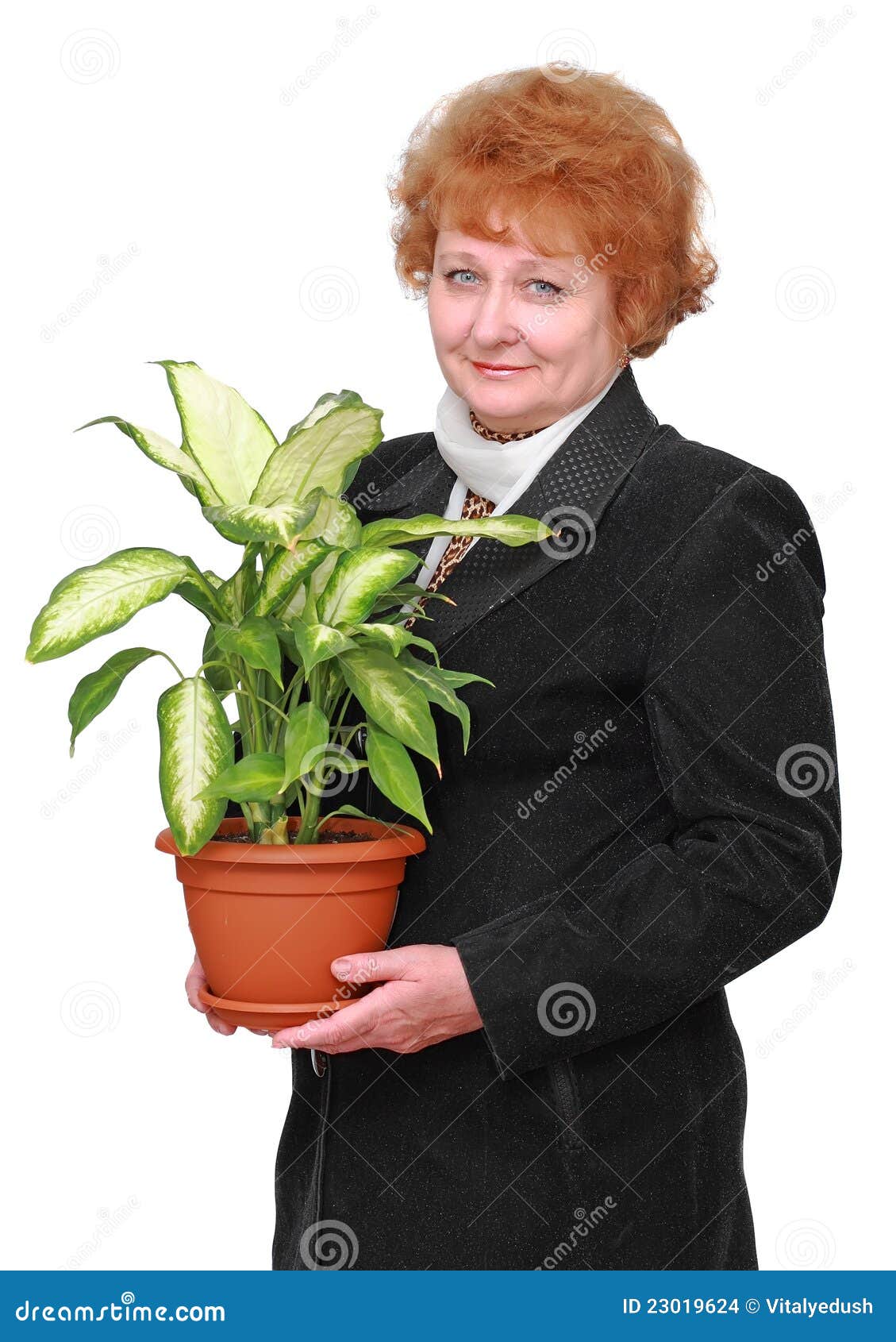 Friendly senior woman stock photo. Image of adult, female - 23019624