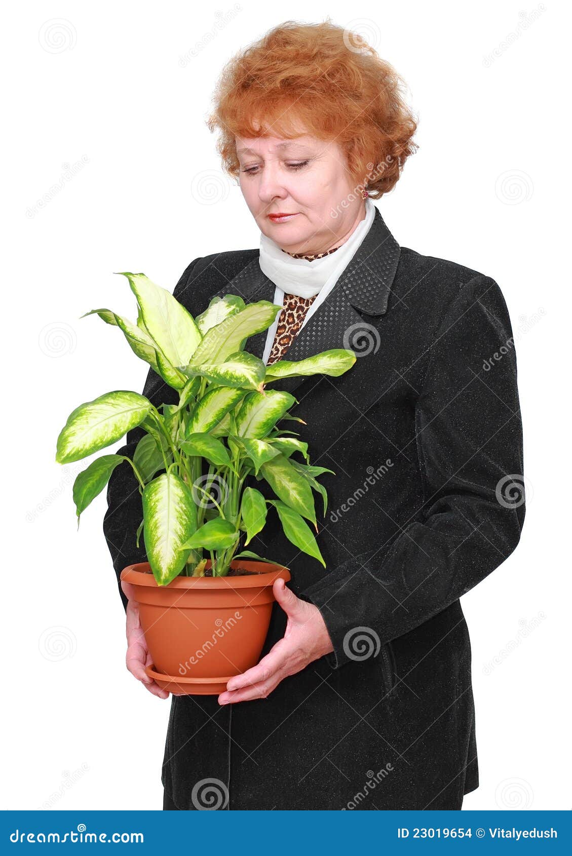 Friendly senior woman stock photo. Image of grow, foster - 23019654